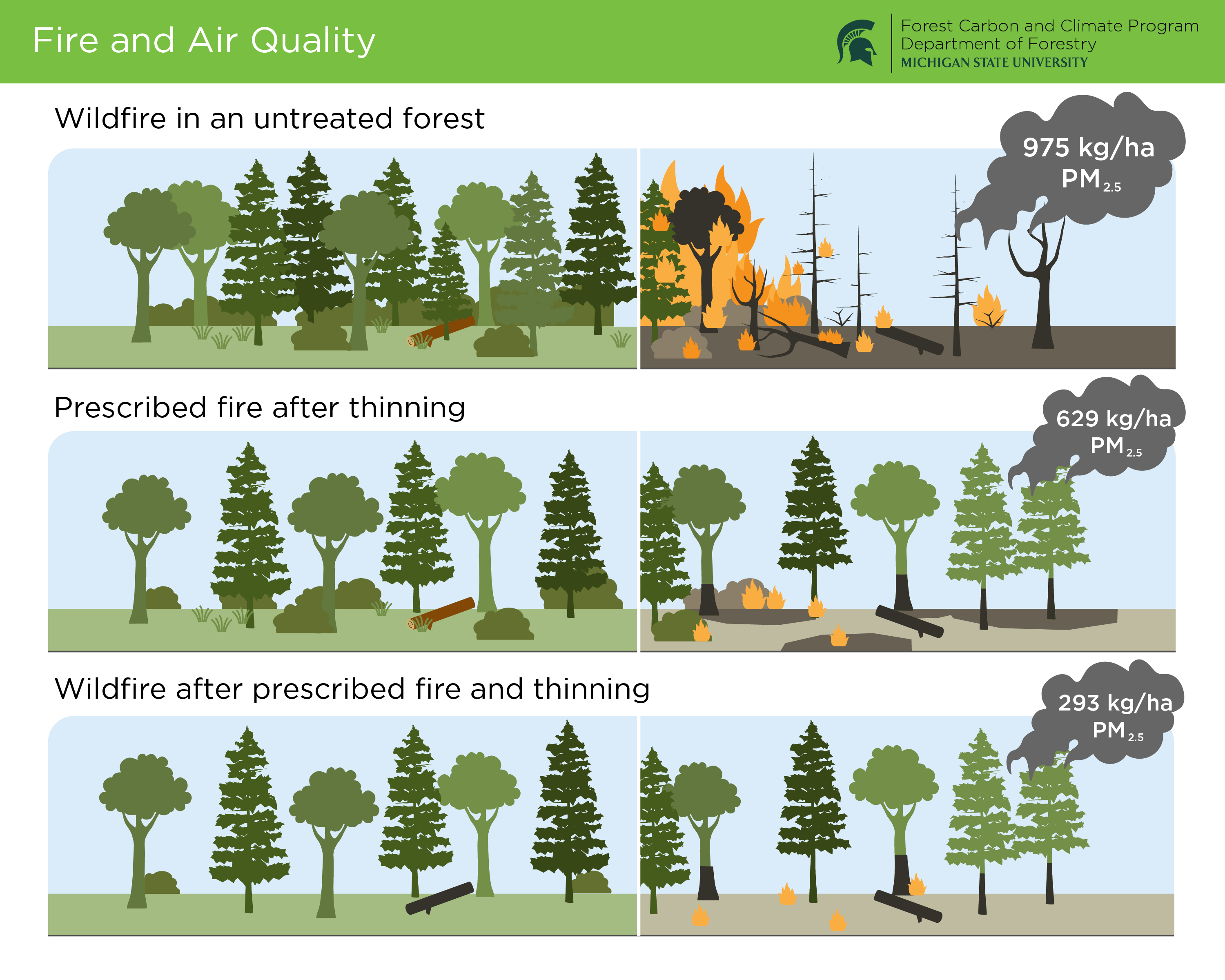 Wildland Fire and Forest Carbon Management Figures - Forest Carbon and ...
