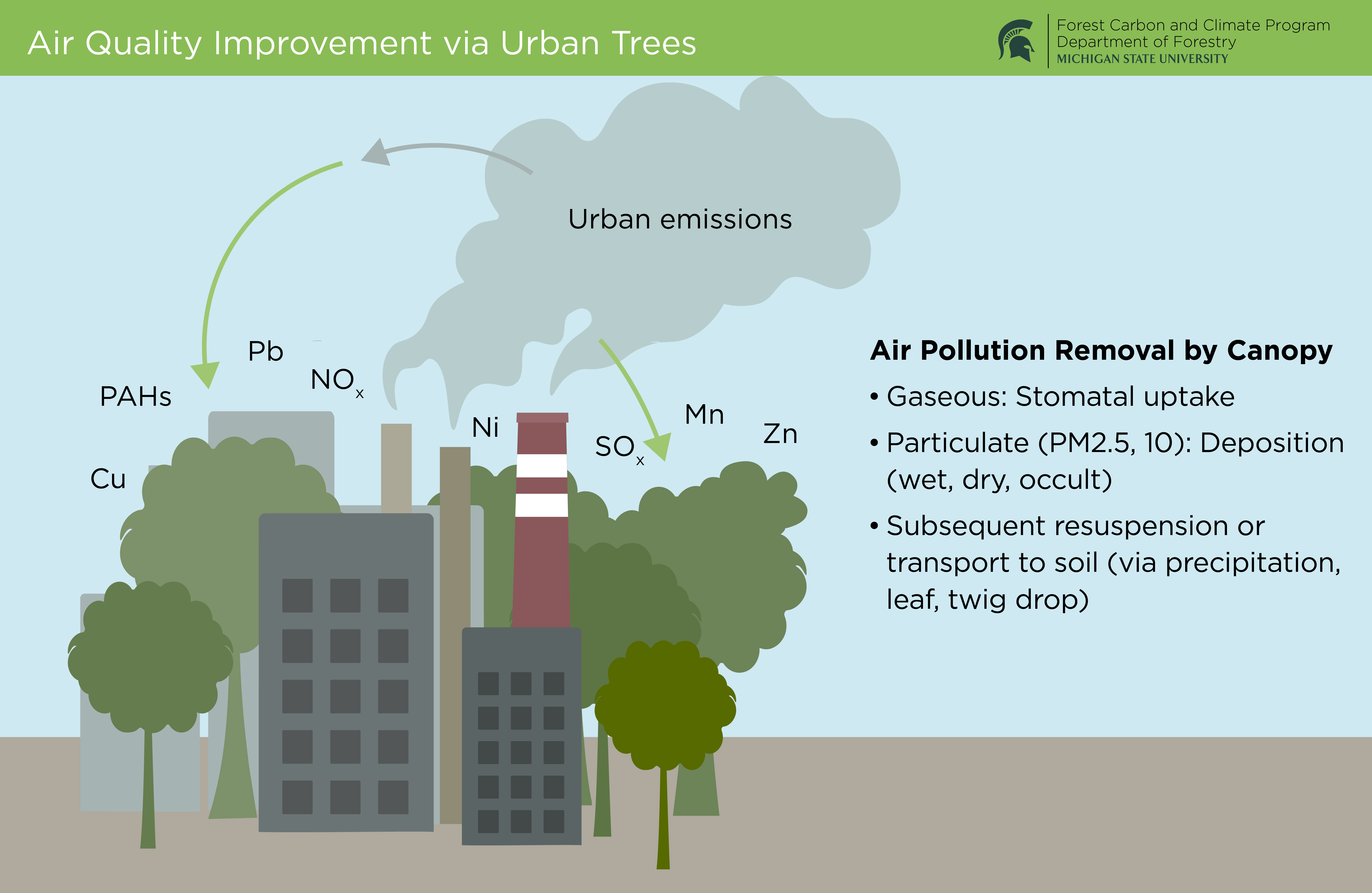 Urban Forestry Figures - Forest Carbon and Climate Program