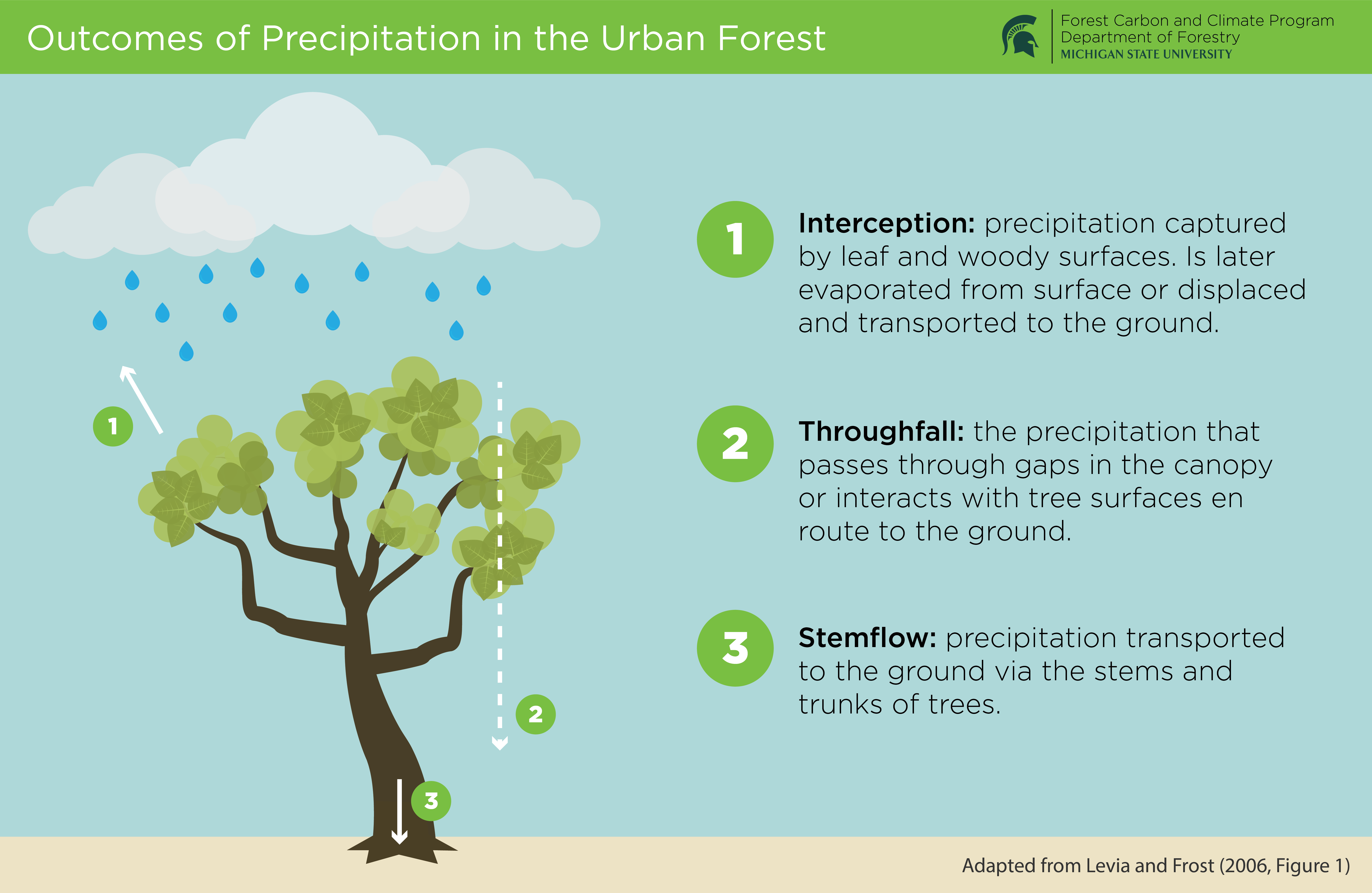 Urban Forestry Figures - Forest Carbon and Climate Program