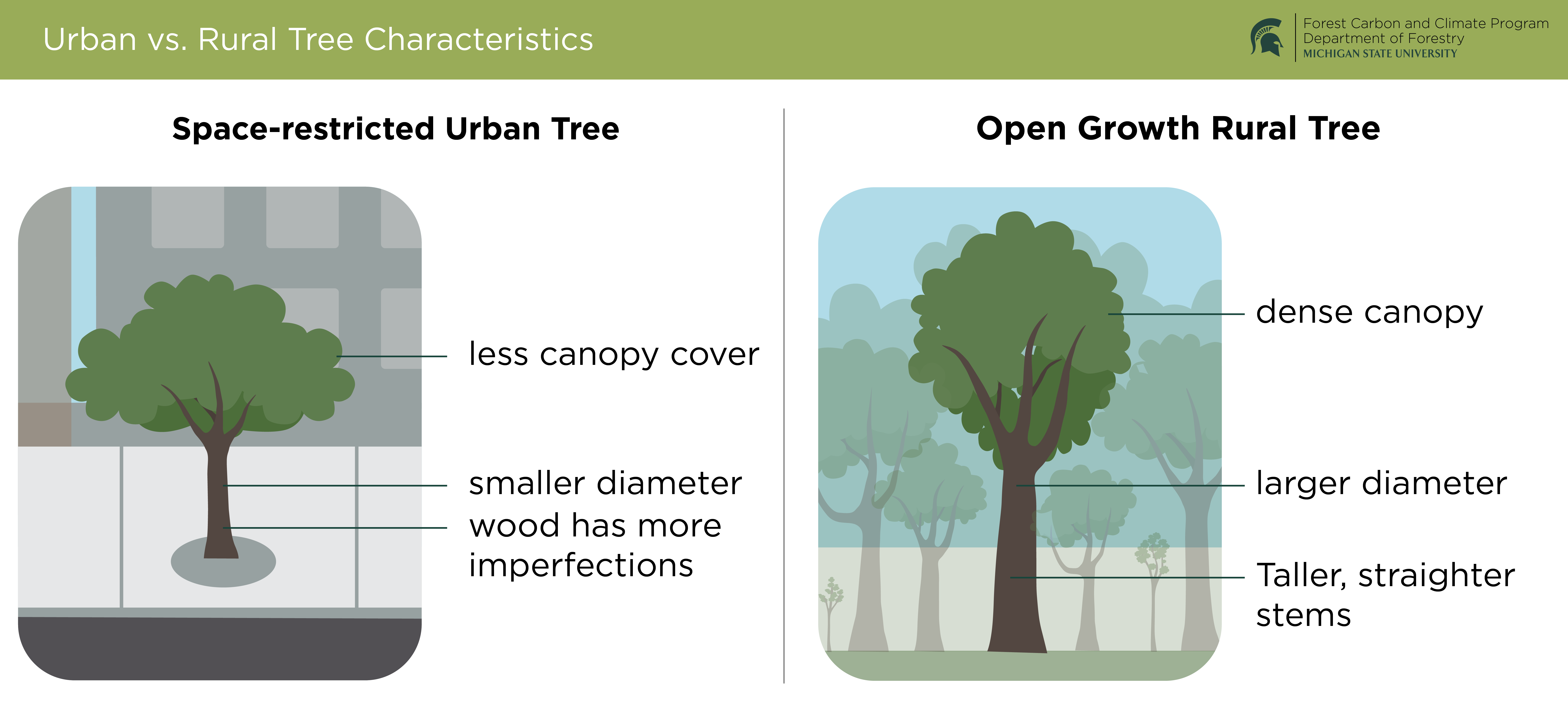 Urban Forestry Figures - Forest Carbon and Climate Program