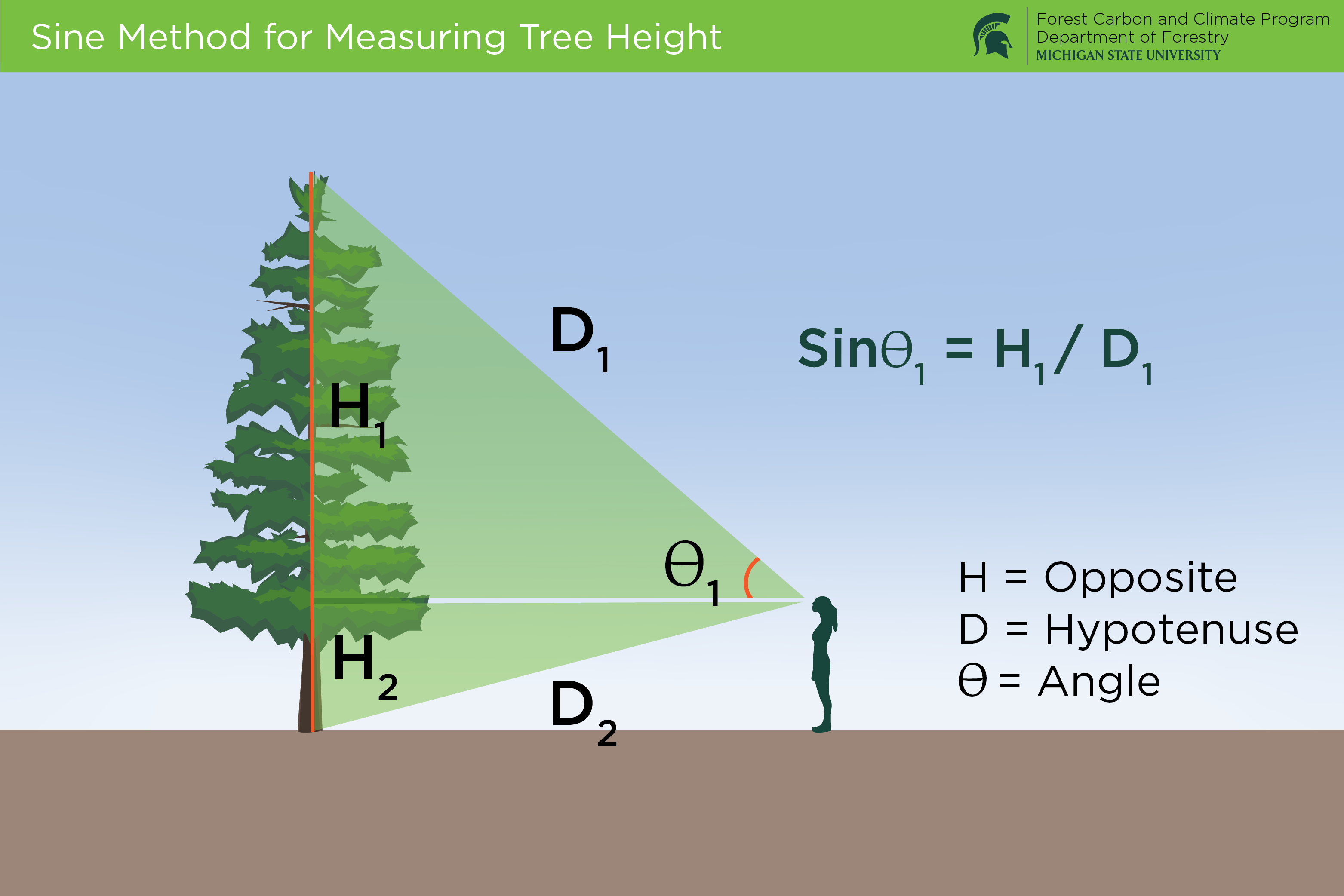Urban Forestry Figures - Forest Carbon and Climate Program