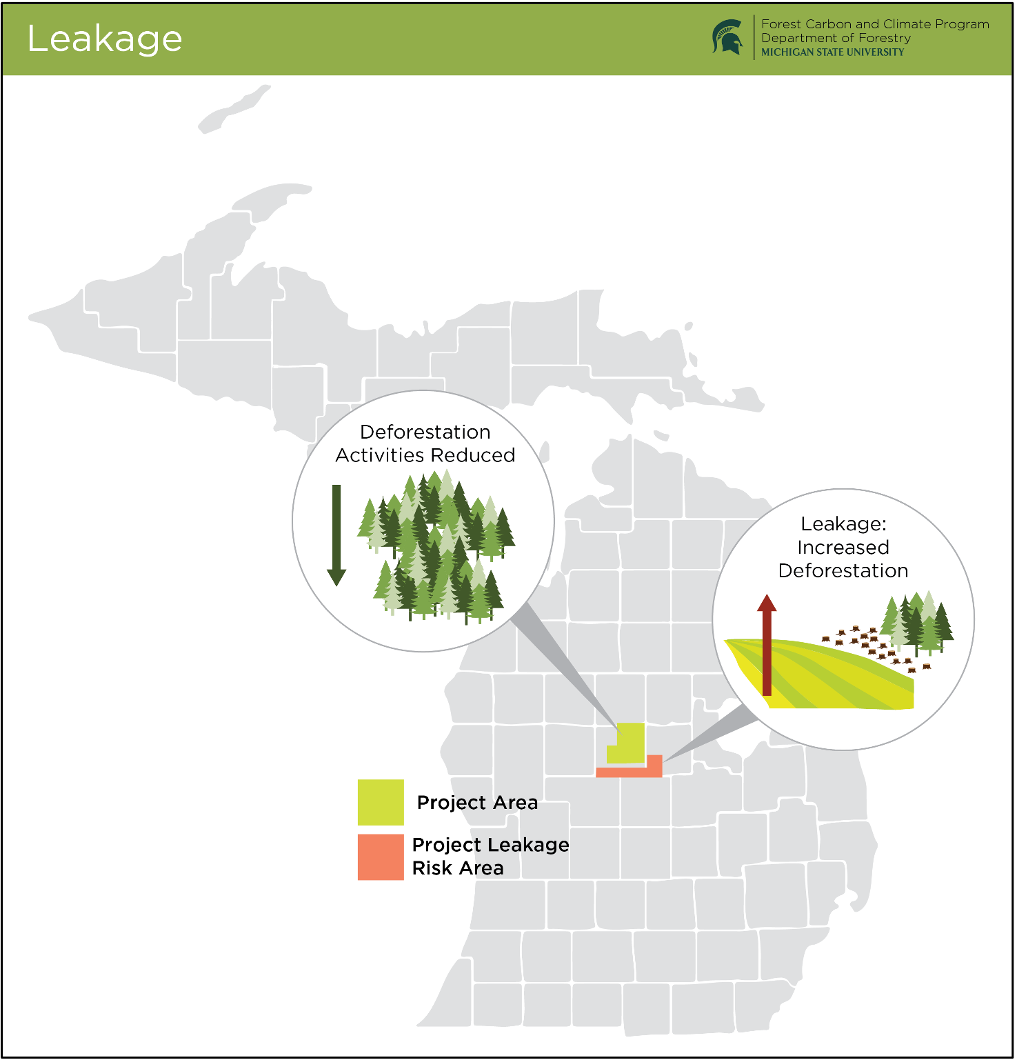 Terminology - Forest Carbon and Climate Program