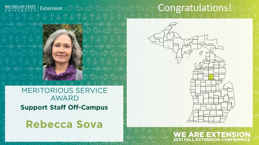 MSU Extension staff members receive Meritorious Service Awards - Fall ...