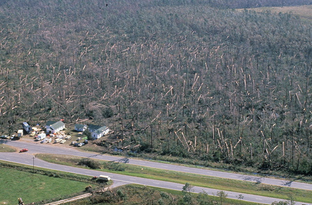 Hurricane Hugo - Department of Forestry