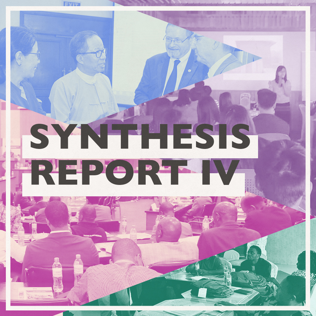 Synthesis Reports and Policy Briefs - Feed the Future Innovation Lab ...
