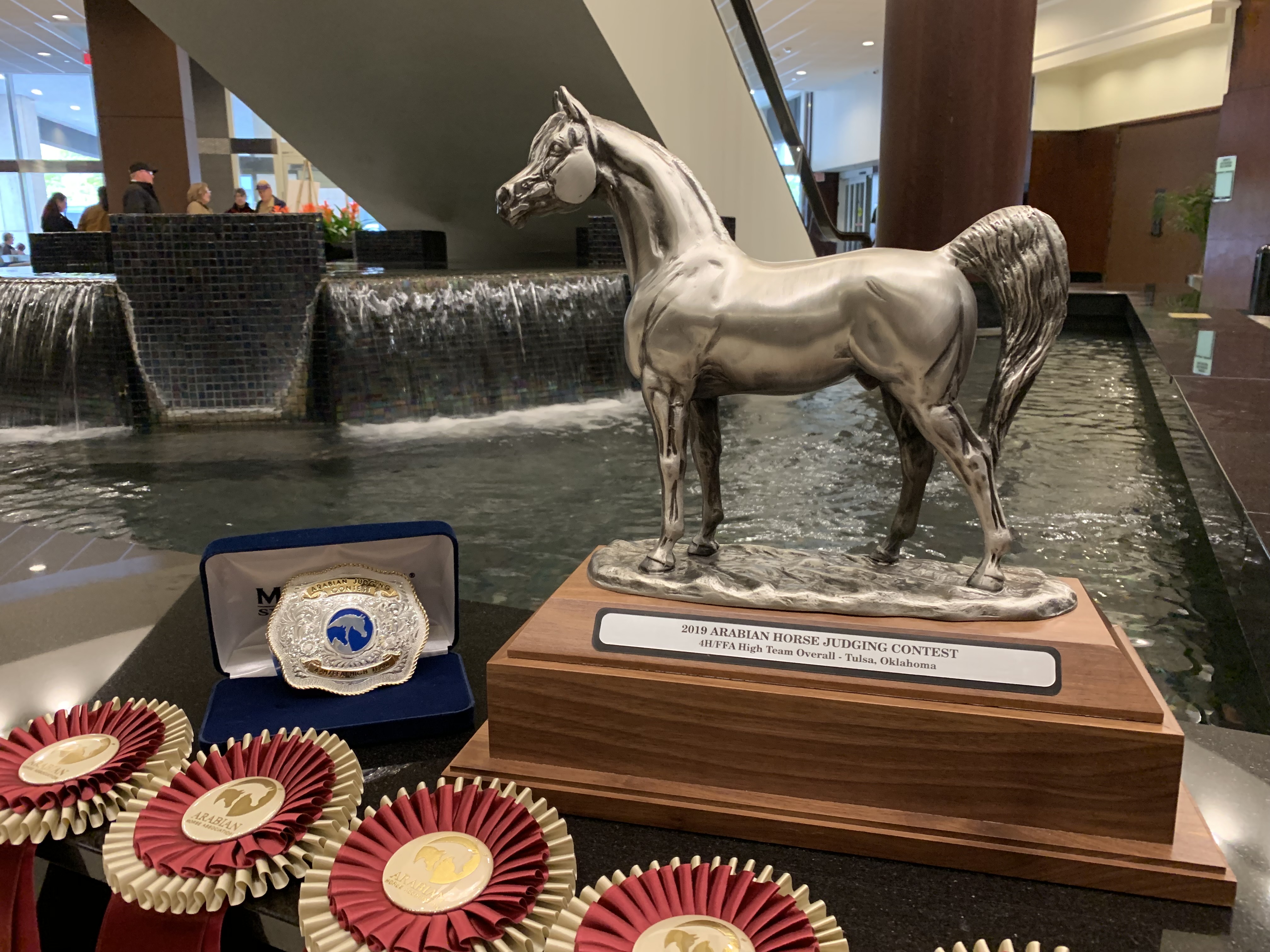 Arabian Nationals horse judging contest results in big successes for ...