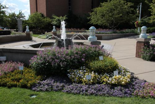 Our Gardens - Department of Horticulture