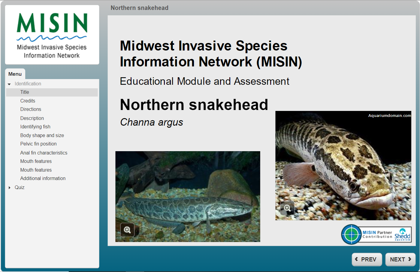 Learn to Identify Plants and Animals - Invasive Species