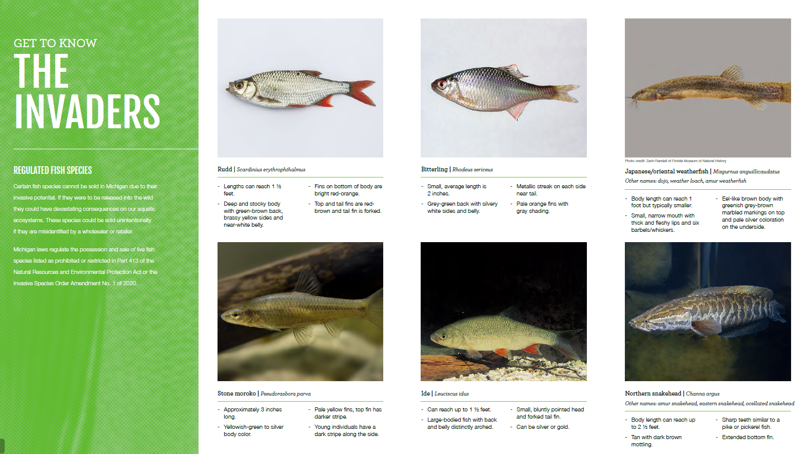 Outreach Products - Invasive Species