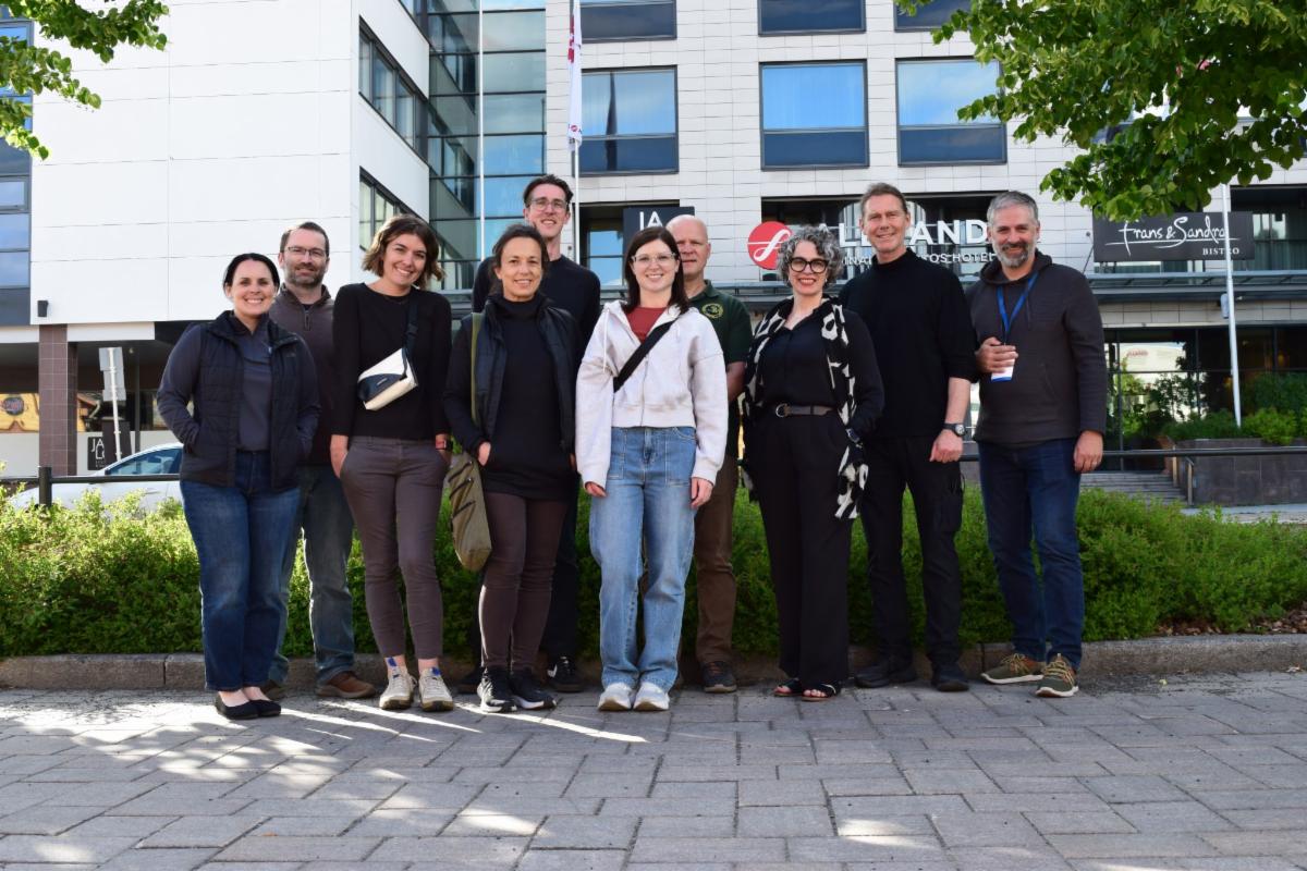 Newsletters - Mass Timber