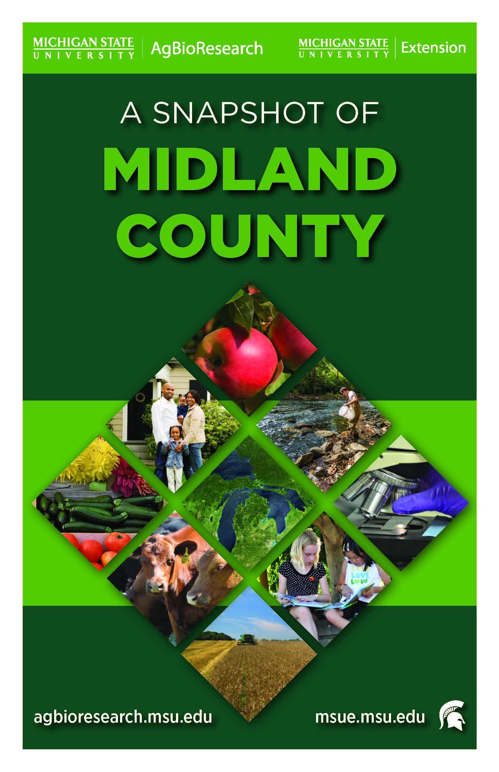 County Annual Report - Midland County