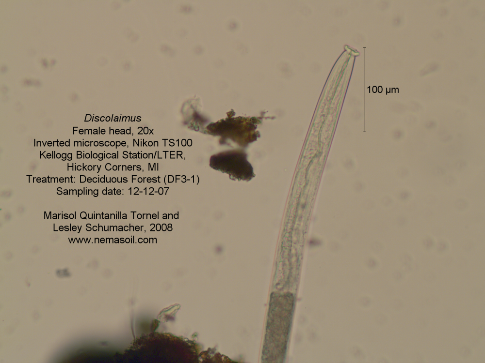 Discolaimus - Applied Nematology, Ecology and Acoustical Signatures