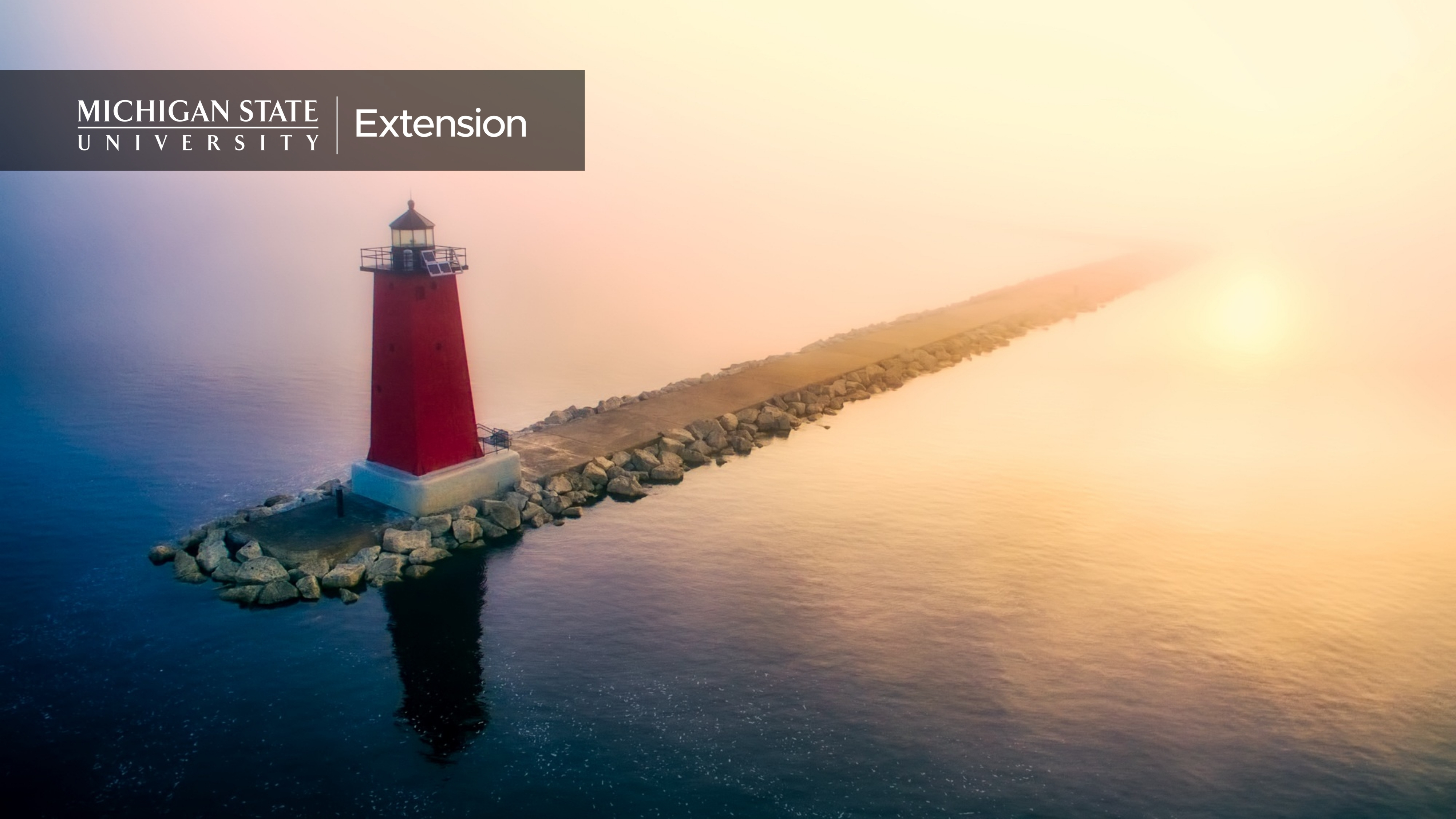 Zoom Backgrounds - Organizational Development