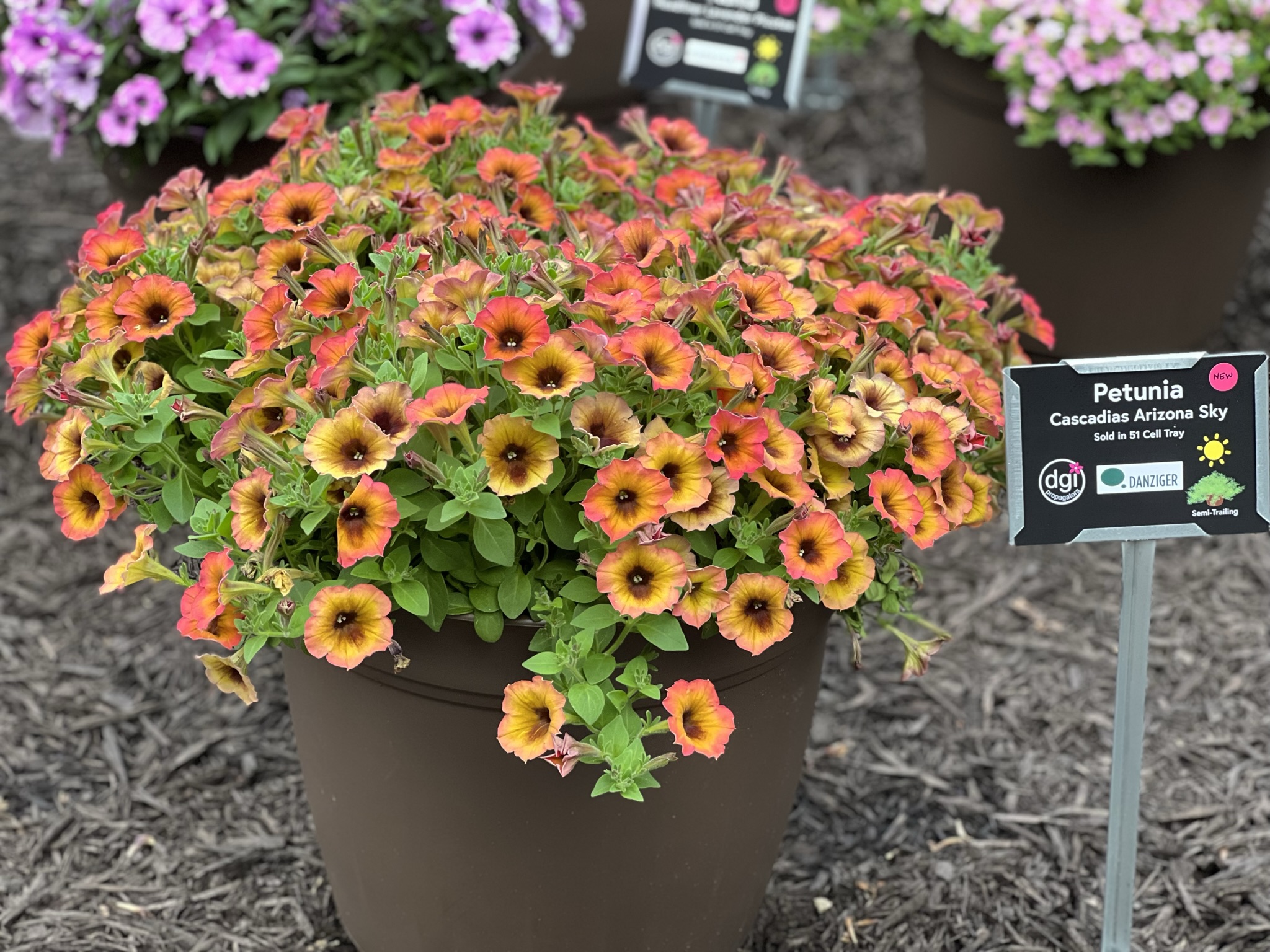 DGI Propagators - Michigan Garden Plant Tour