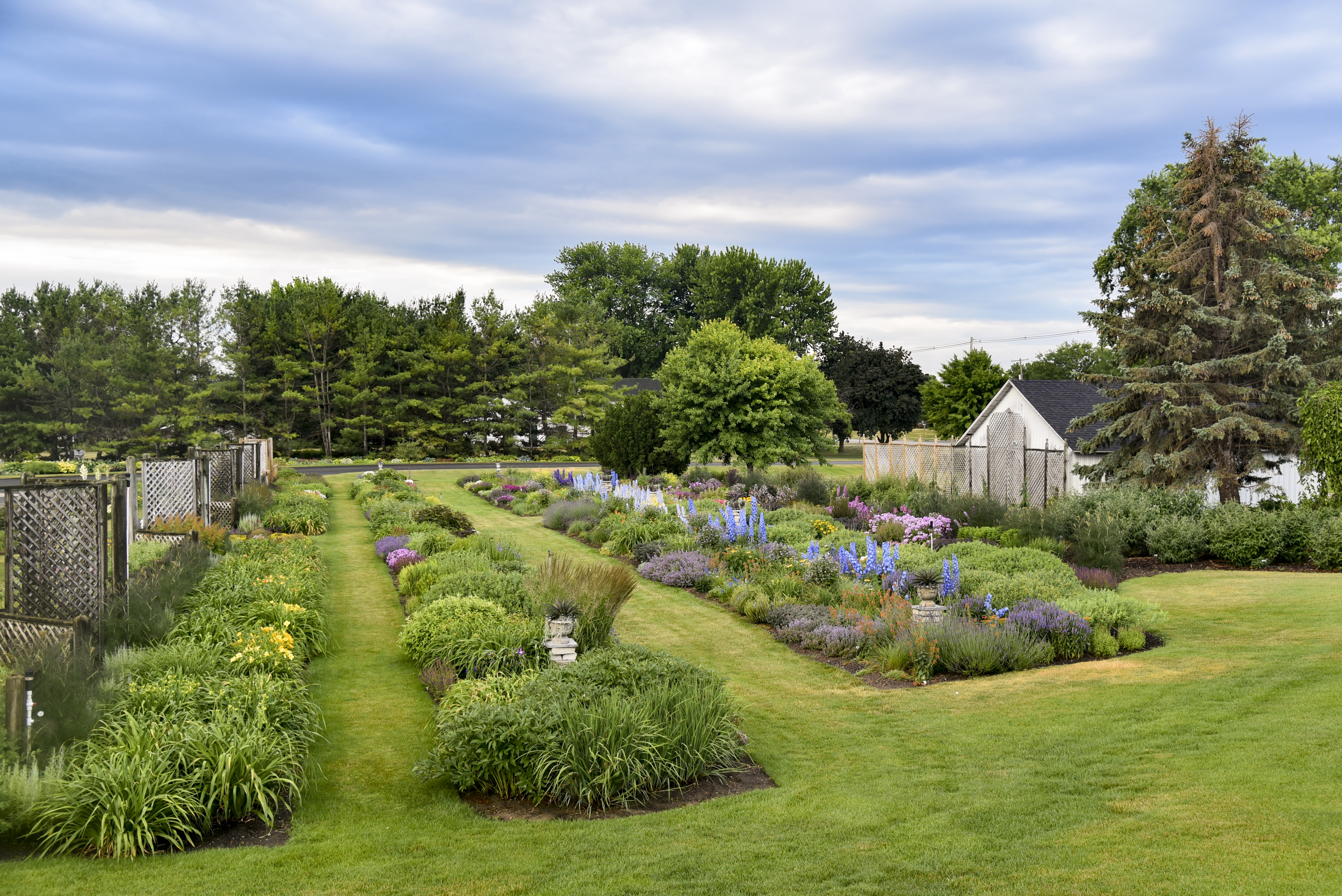 Walters Gardens - Michigan Garden Plant Tour