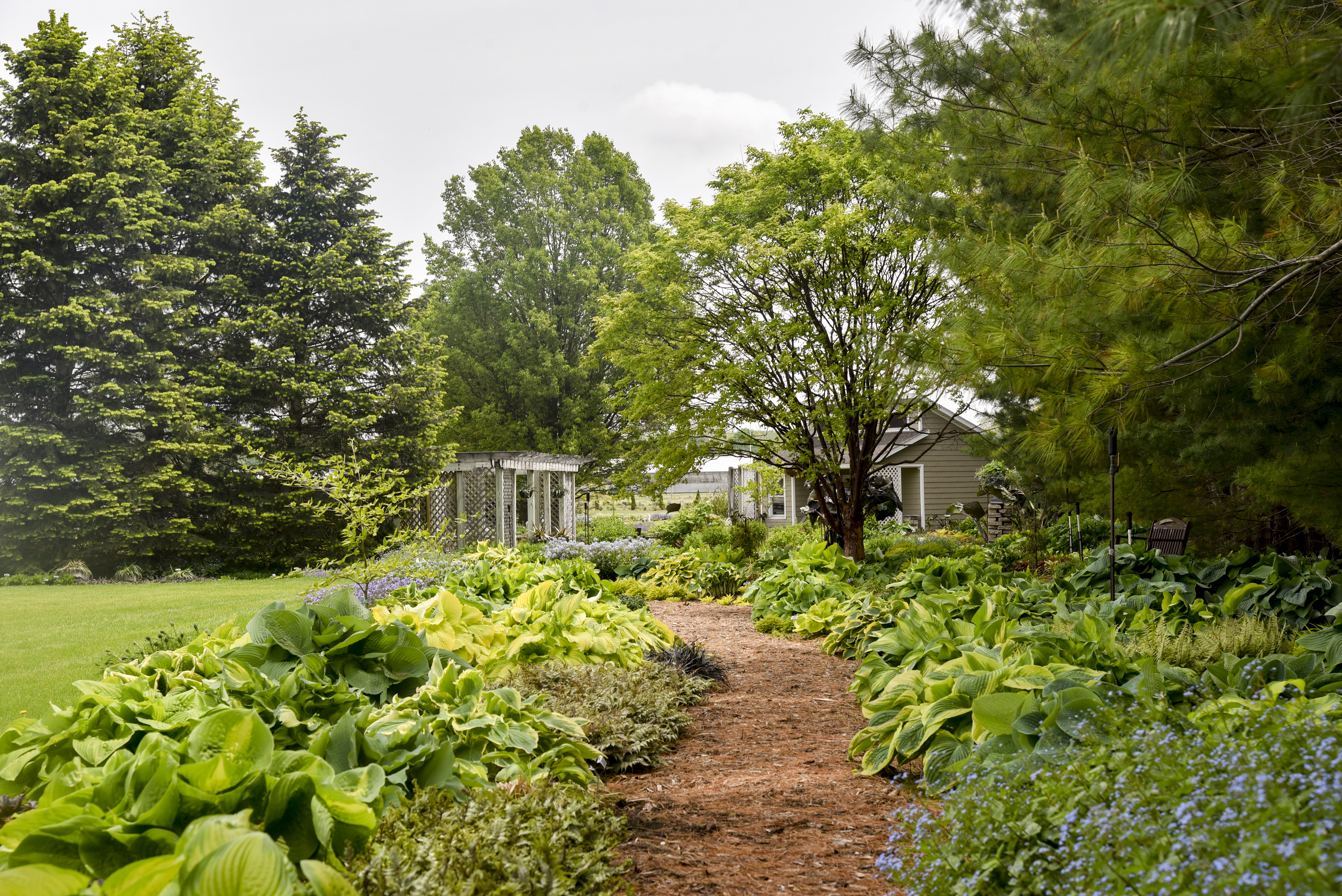 Walters Gardens - Michigan Garden Plant Tour