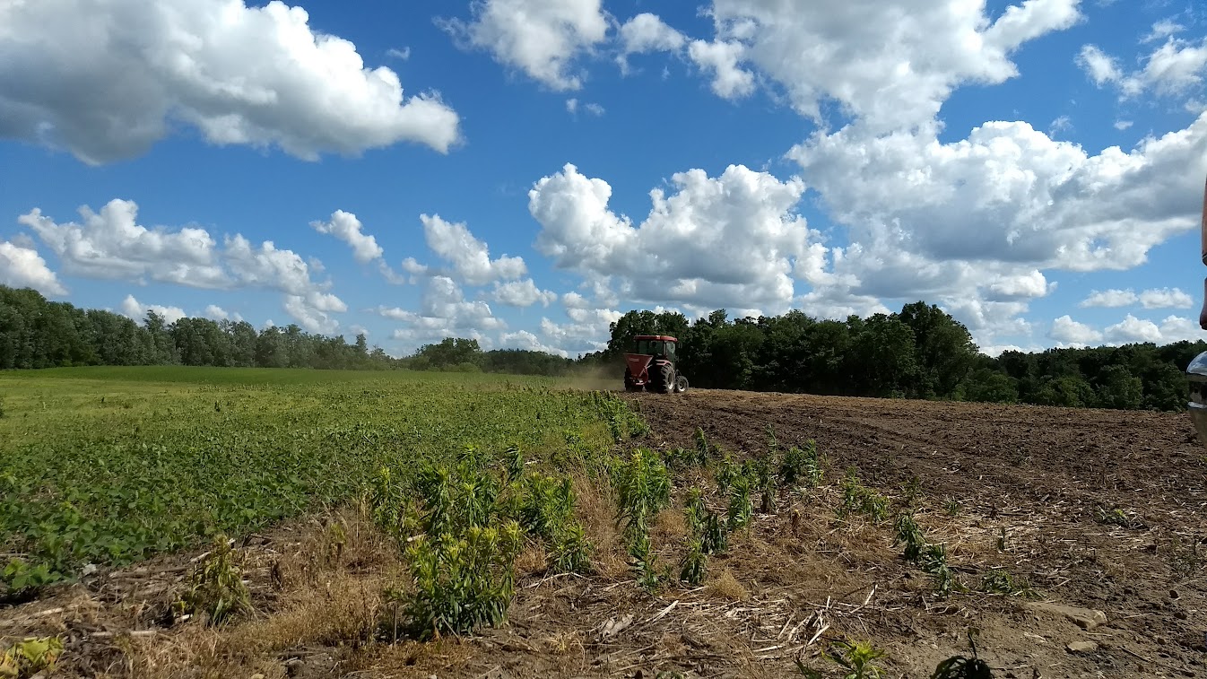 A refuge for pollinators: A case study of establishing large-scale ...