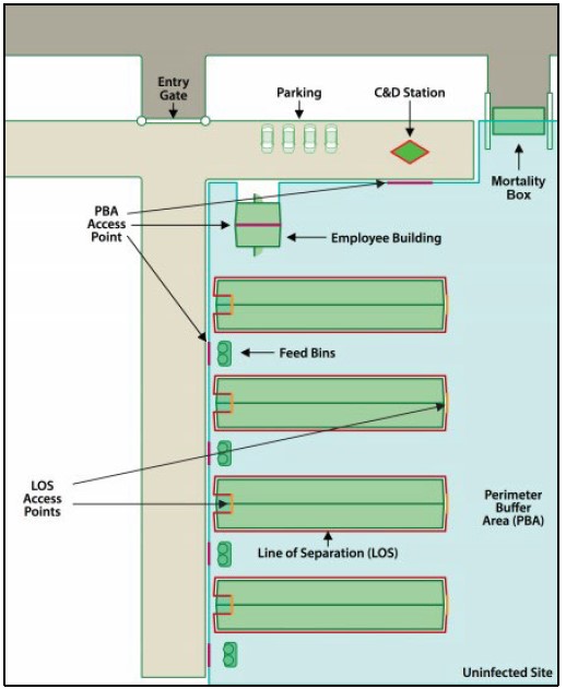 Management over Medication: Biosecurity Plans for Small Farms - Pork