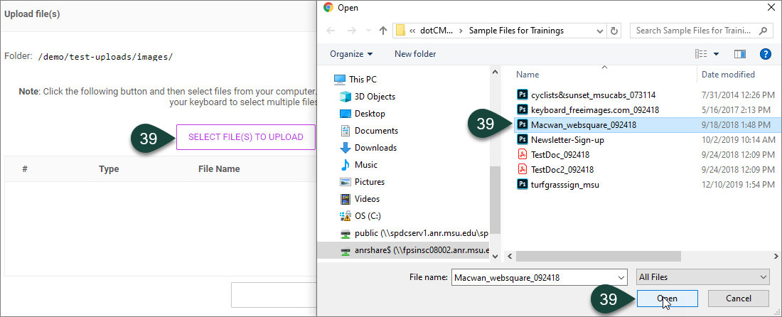 How to create a Person Profile in dotCMS - Web Team