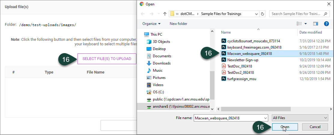 How to create a Person Profile in dotCMS - Web Team