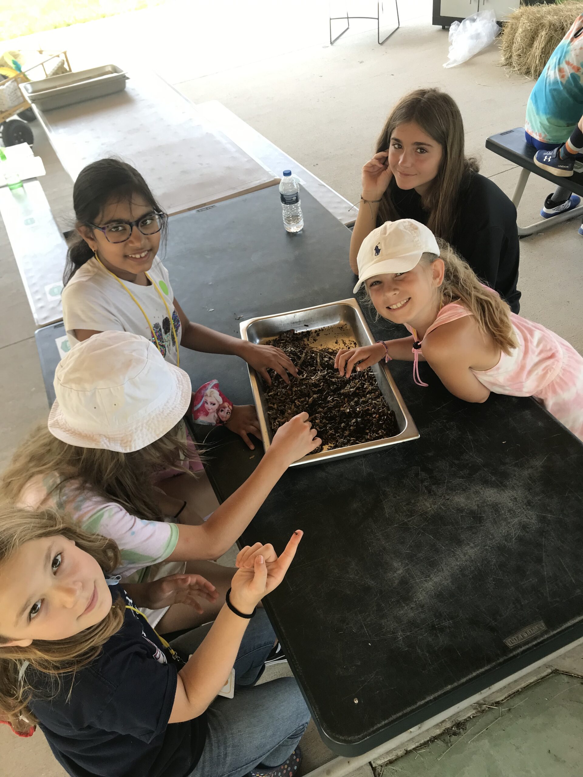 Green Science Adventure Camp Mon-Wed - Tollgate Farm and Education Center