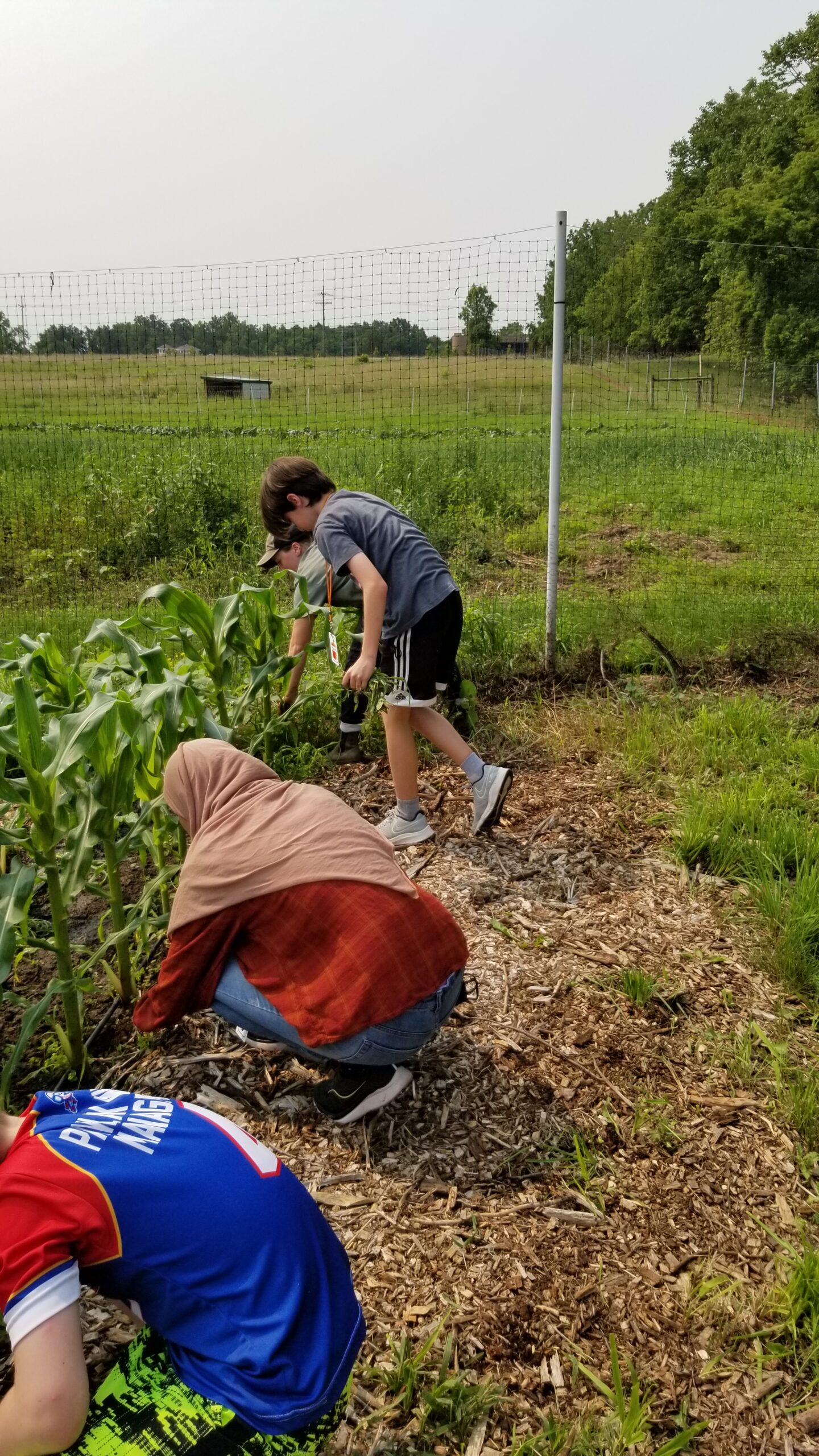Summer Camp 2021: Earth Explorers Camp Monday-Tuesday - Tollgate Farm ...