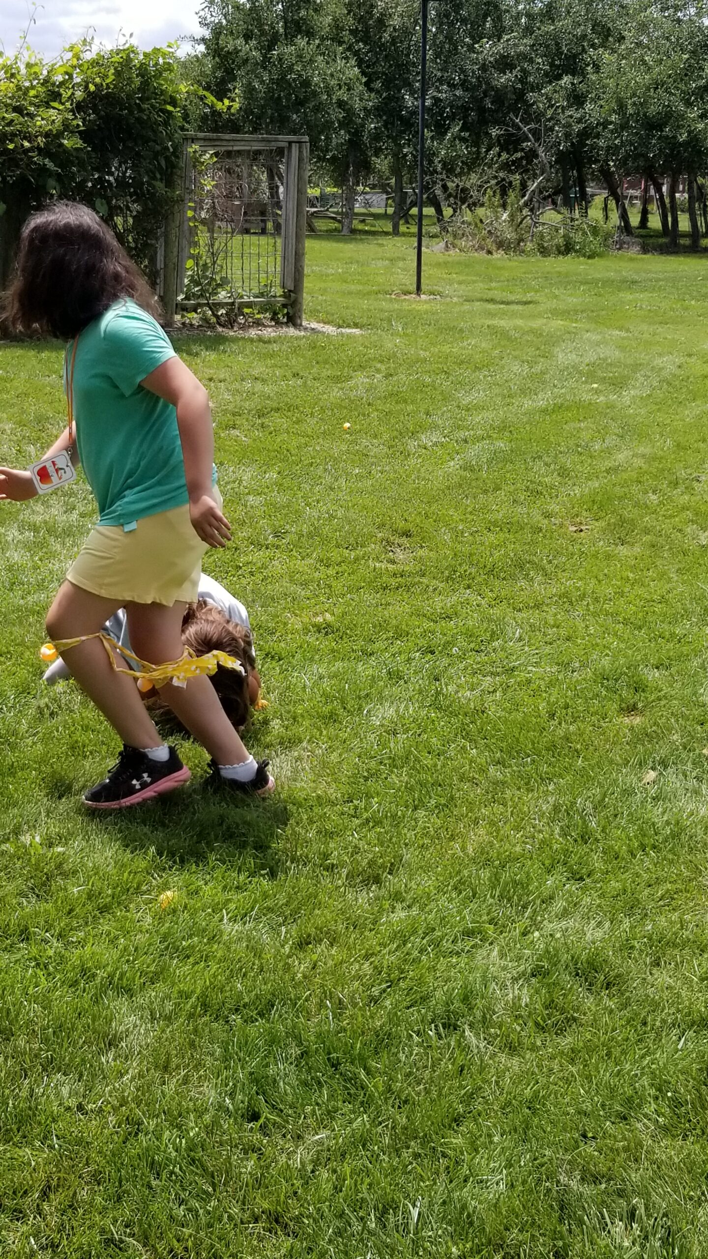 MSU Tollgate Earth Explorers Camp: Wednesday-Friday - Tollgate Farm and ...