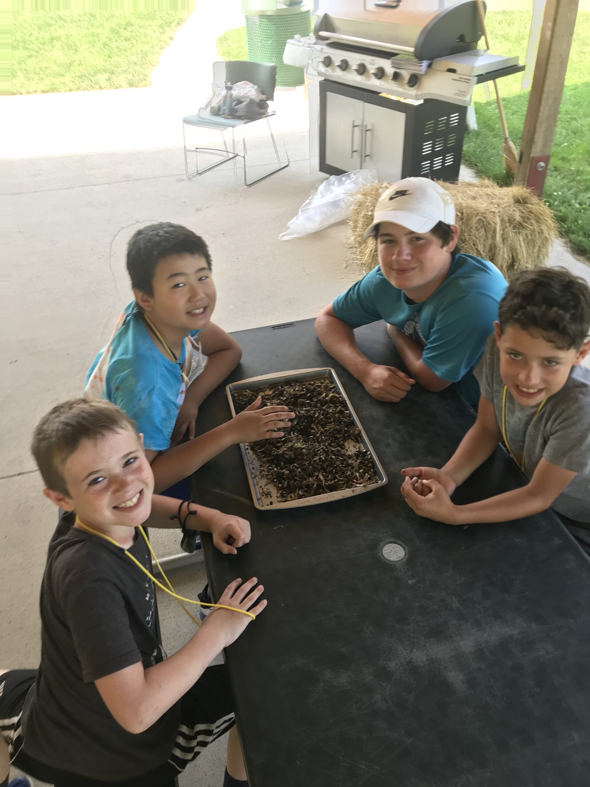Green Science Adventure Camp Mon-Wed - Tollgate Farm and Education Center