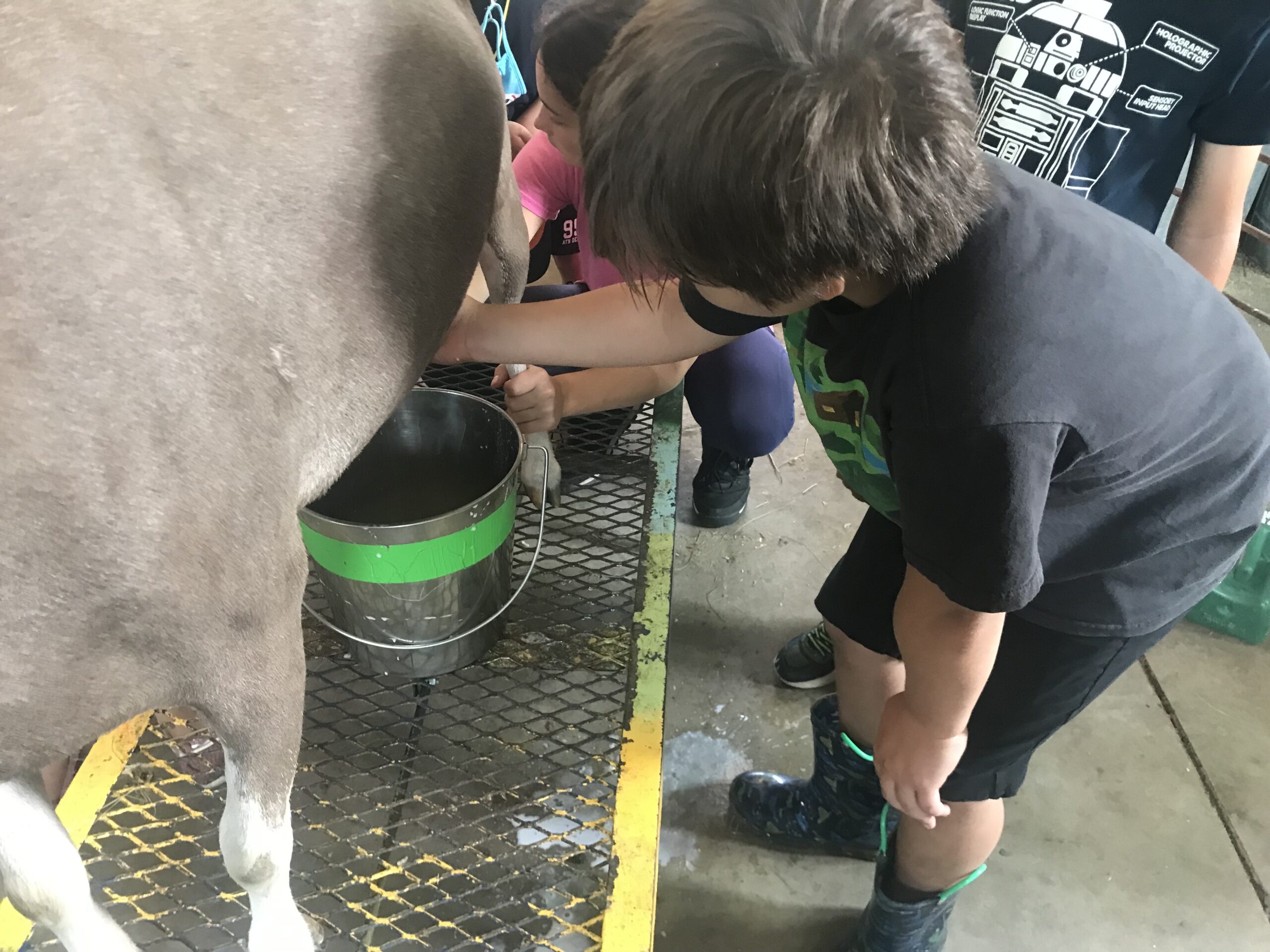 MSU Tollgate Earth Explorers Camp: Wednesday-Friday - Tollgate Farm and ...