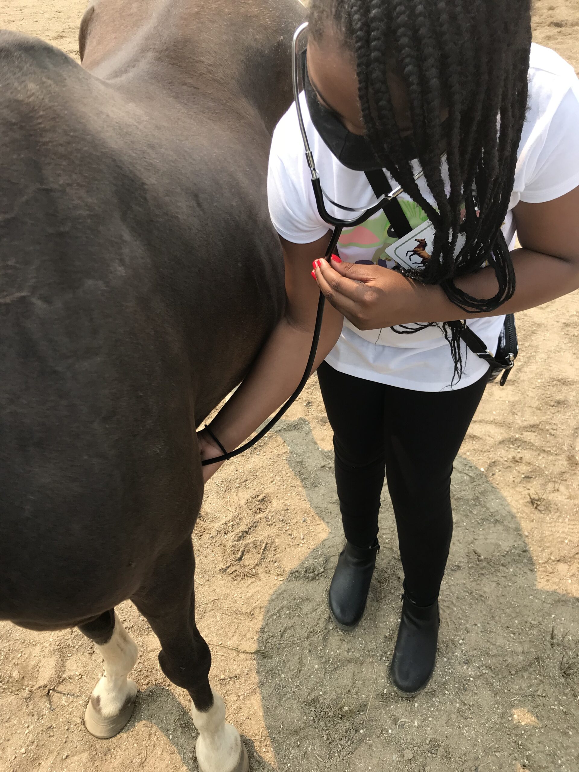 Horse Camp 1: Equine Science - Tollgate Farm and Education Center