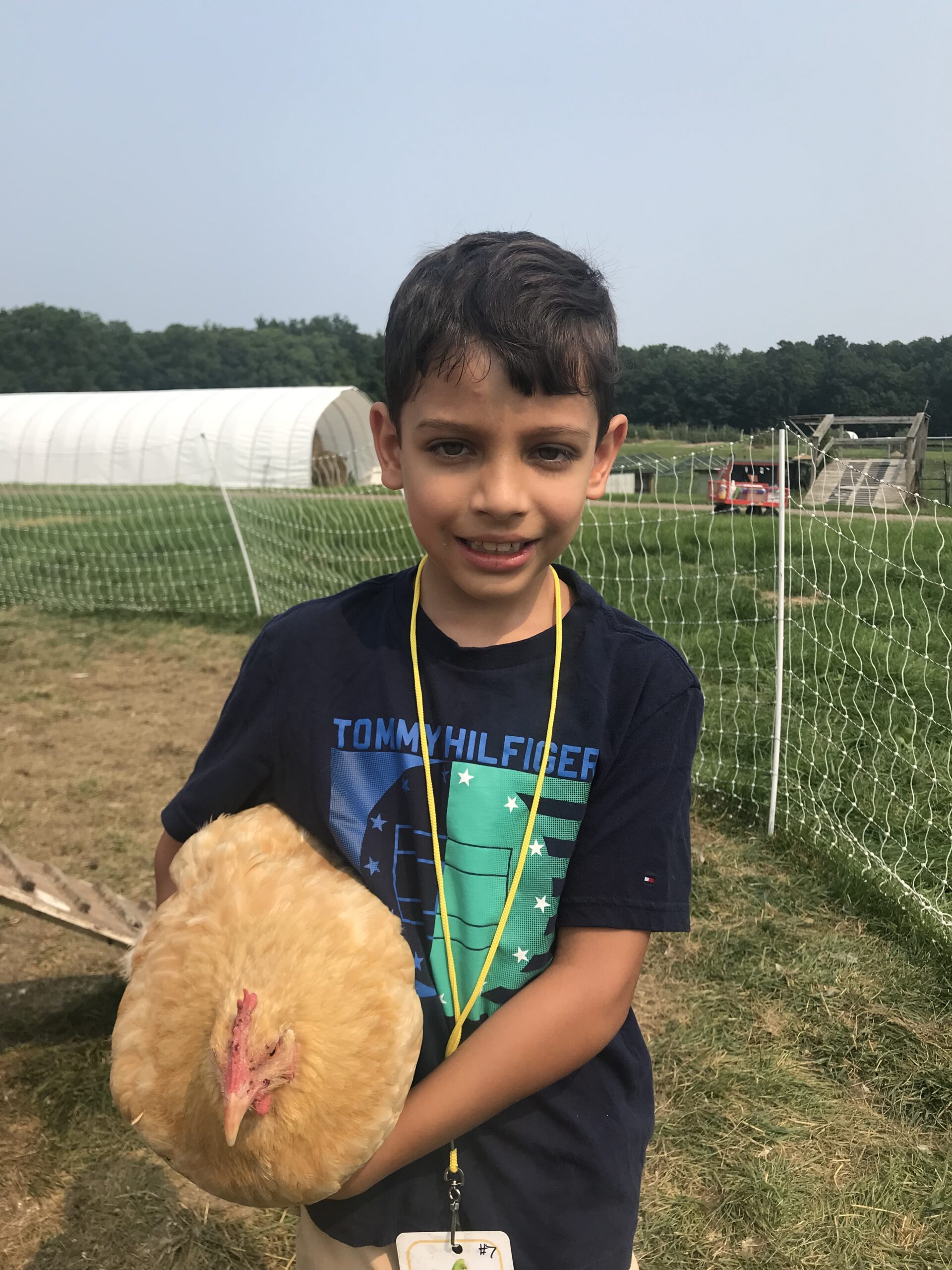 Summer Camp 2021: Earth Explorers Camp Monday-Tuesday - Tollgate Farm ...