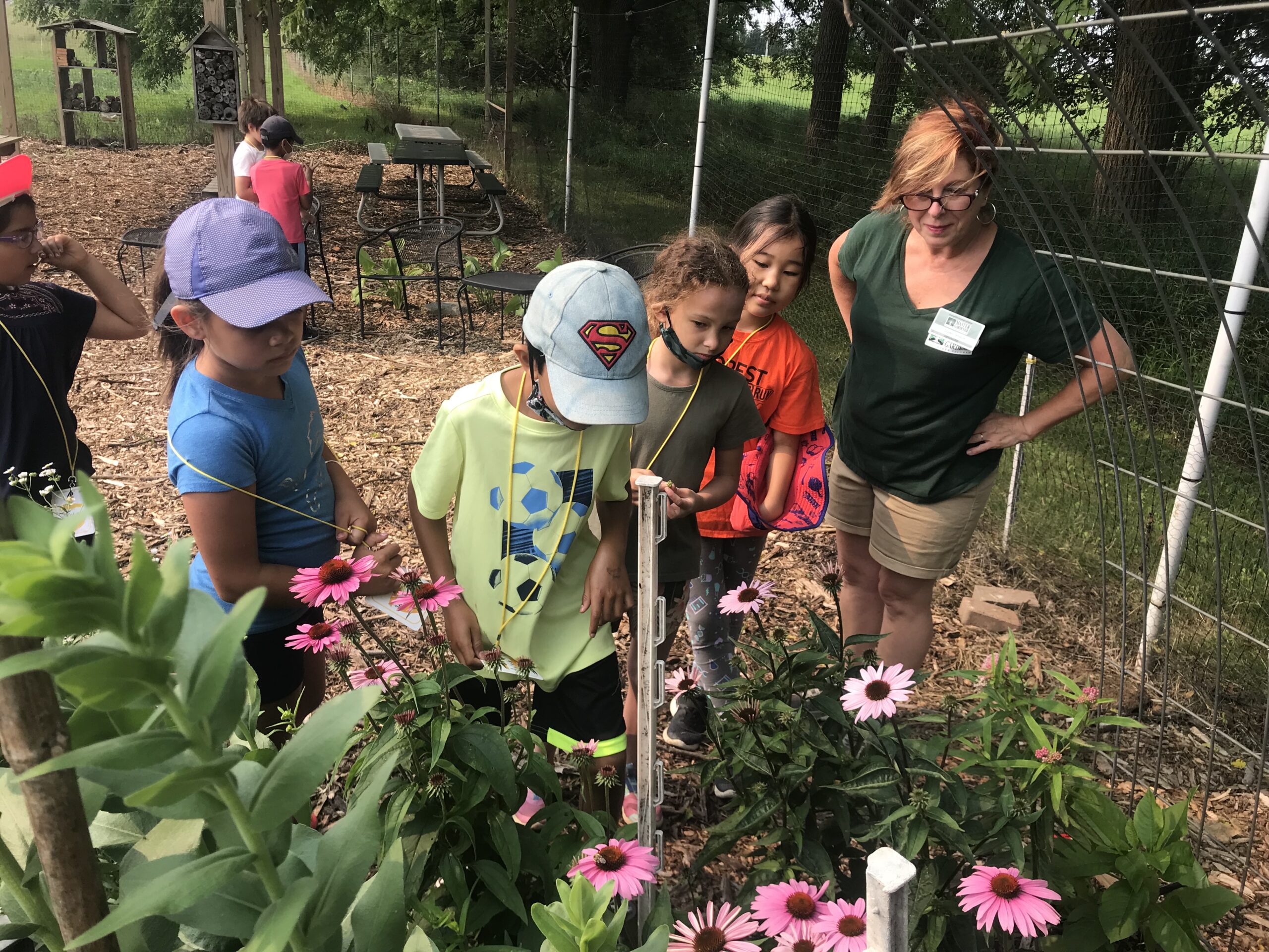 Summer Camp 2021: Earth Explorers Camp Monday-Tuesday - Tollgate Farm ...