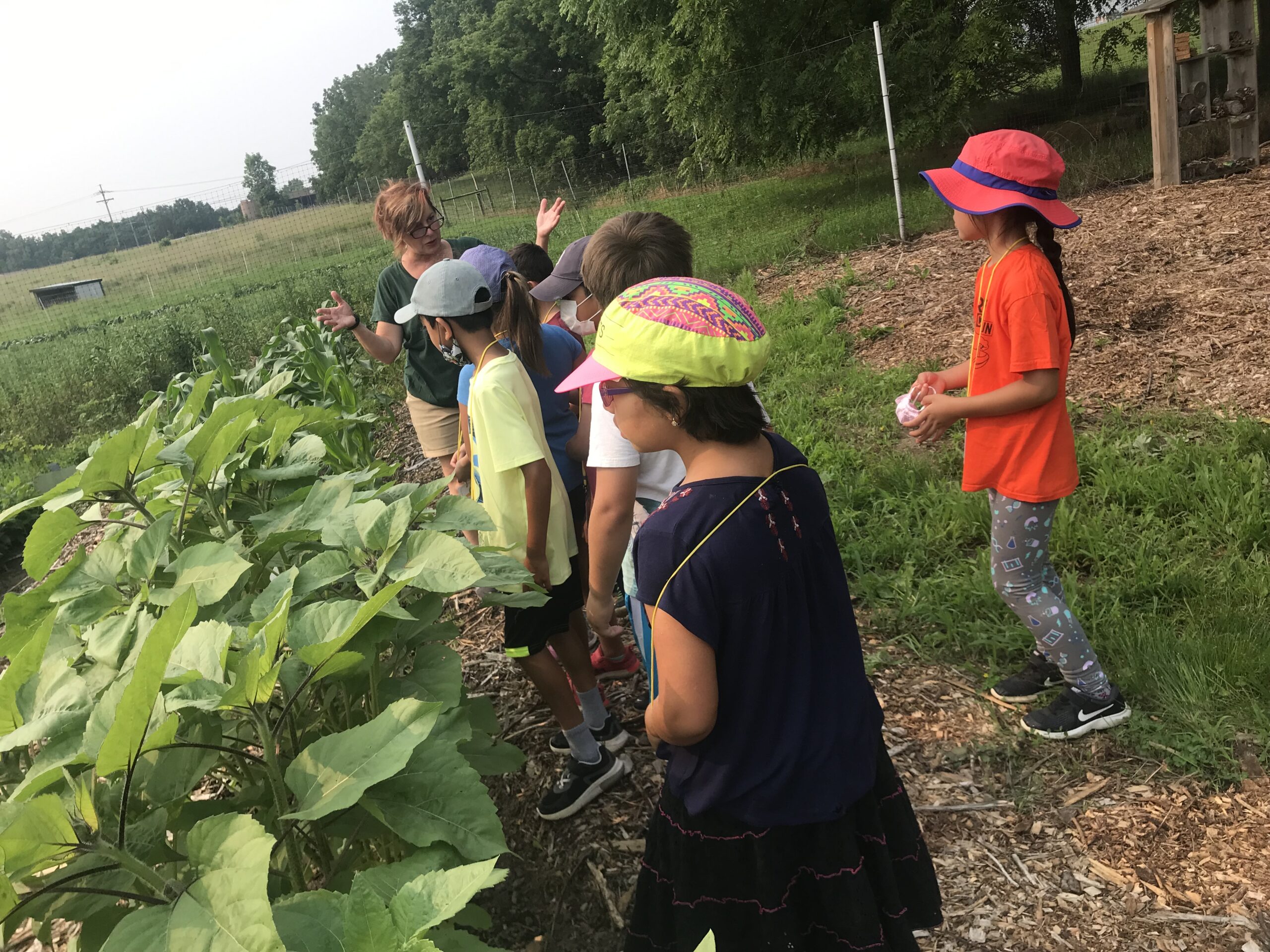 Summer Camp 2021: Earth Explorers Camp Monday-Tuesday - Tollgate Farm ...