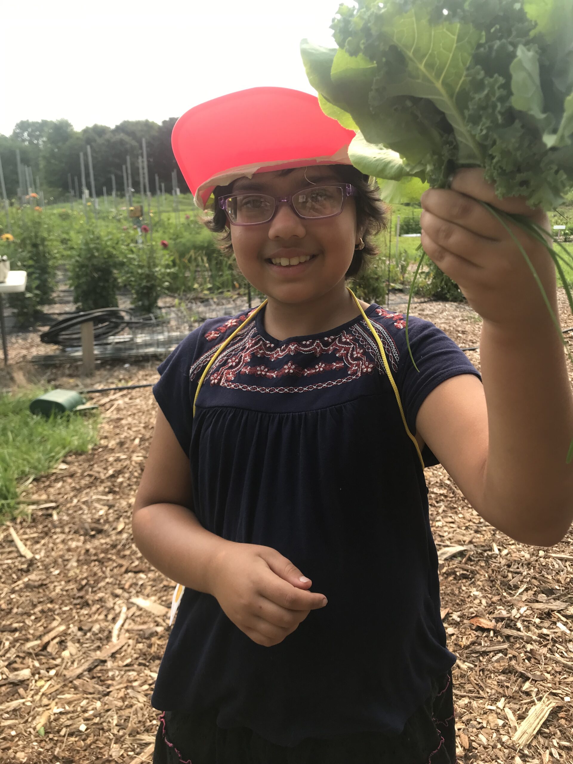 Summer Camp 2021: Earth Explorers Camp Monday-Tuesday - Tollgate Farm ...