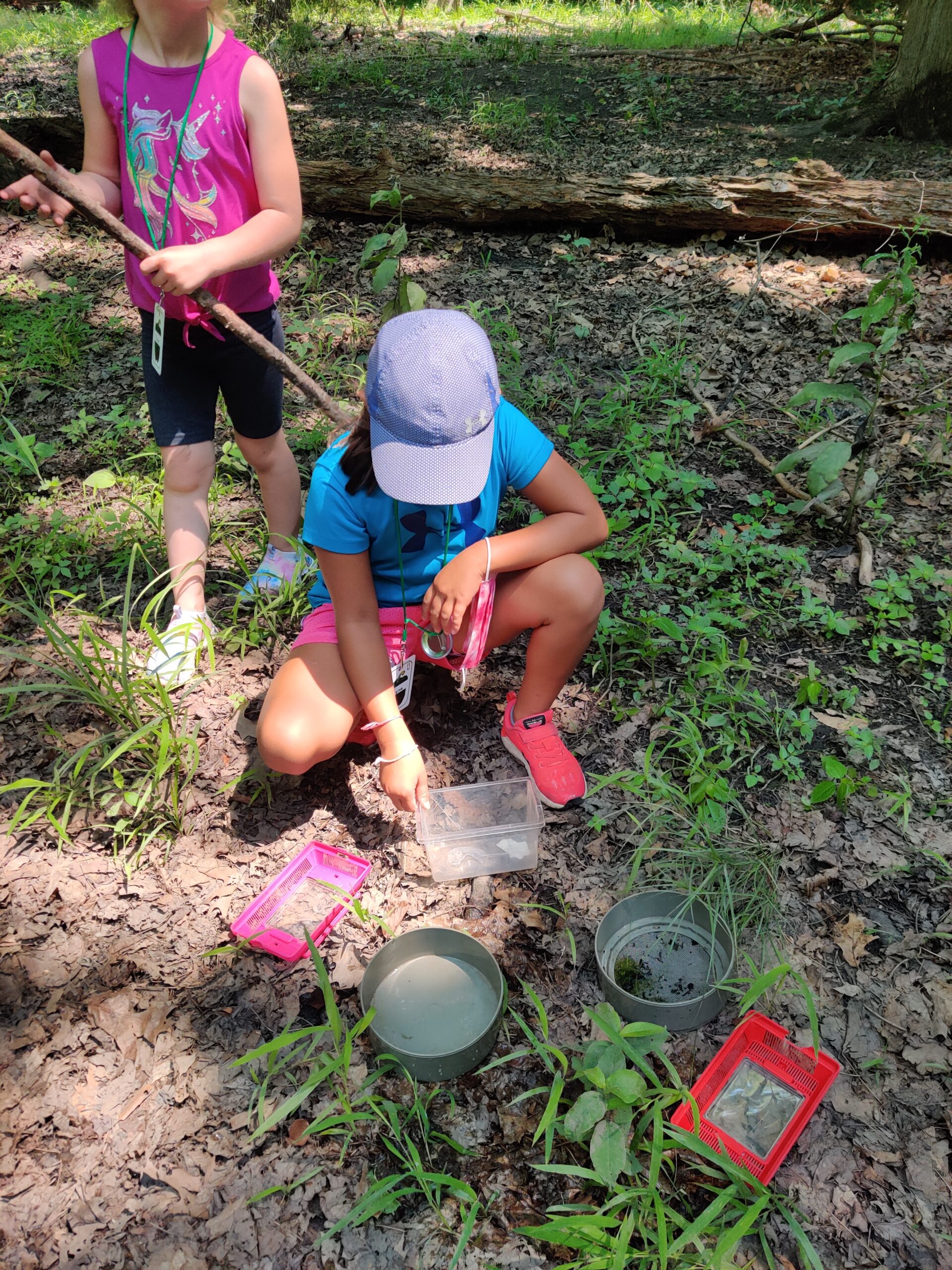 Green Science Adventure Camp Mon-Wed - Tollgate Farm and Education Center