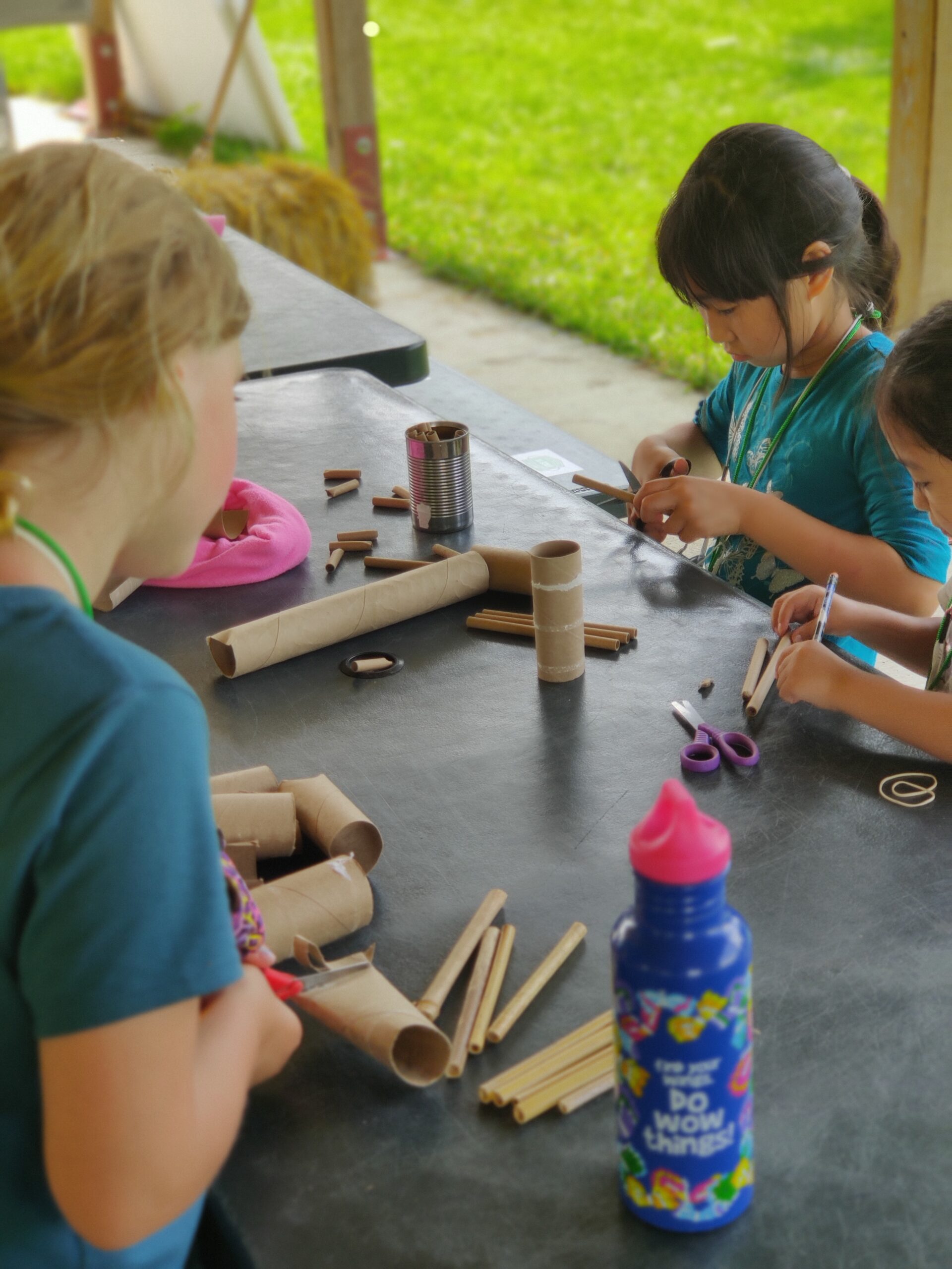 Green Science Adventure Camp Thursday-Friday - Tollgate Farm and ...