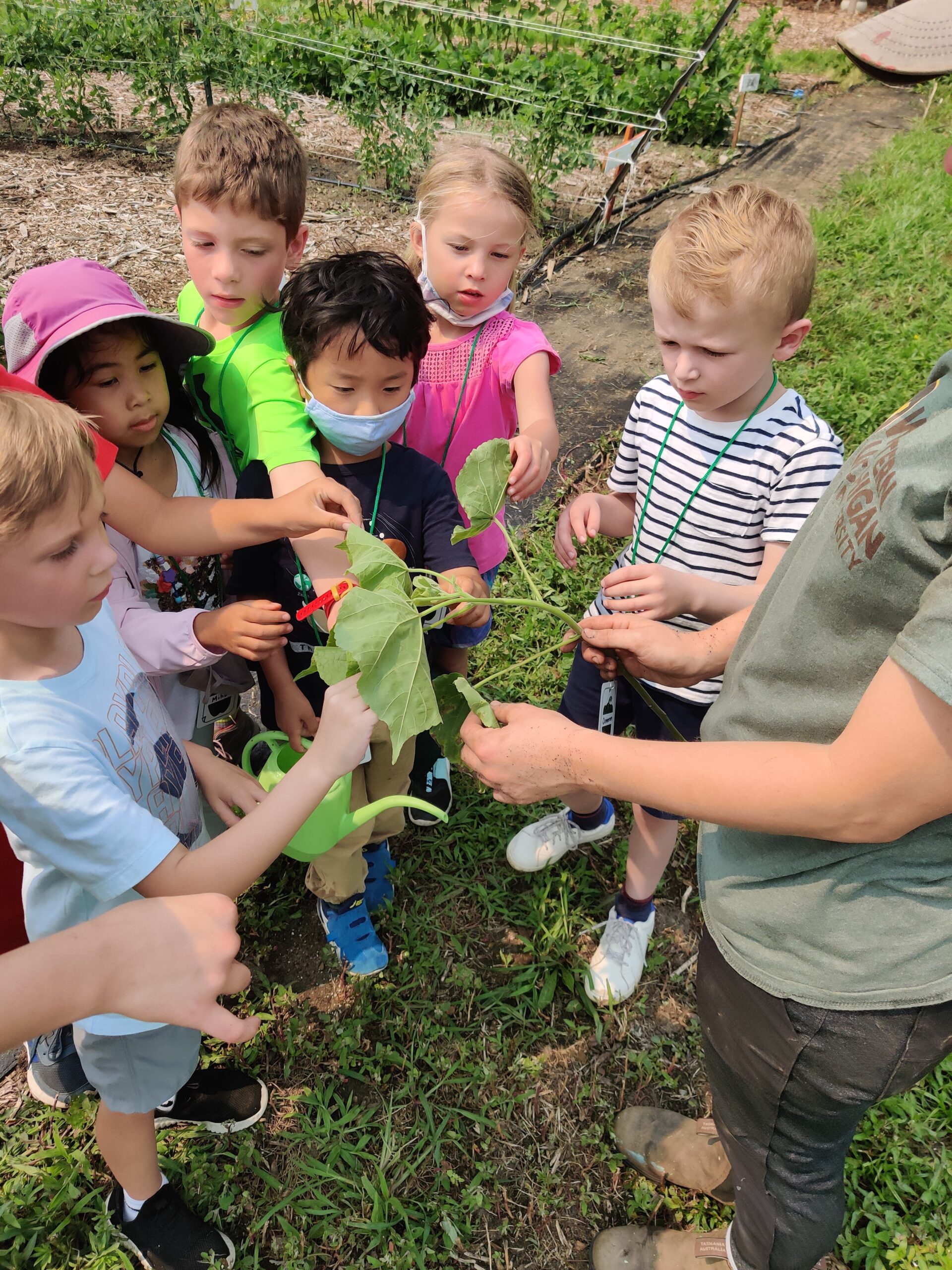 Summer Camp 2021: Earth Explorers Camp Monday-Tuesday - Tollgate Farm ...