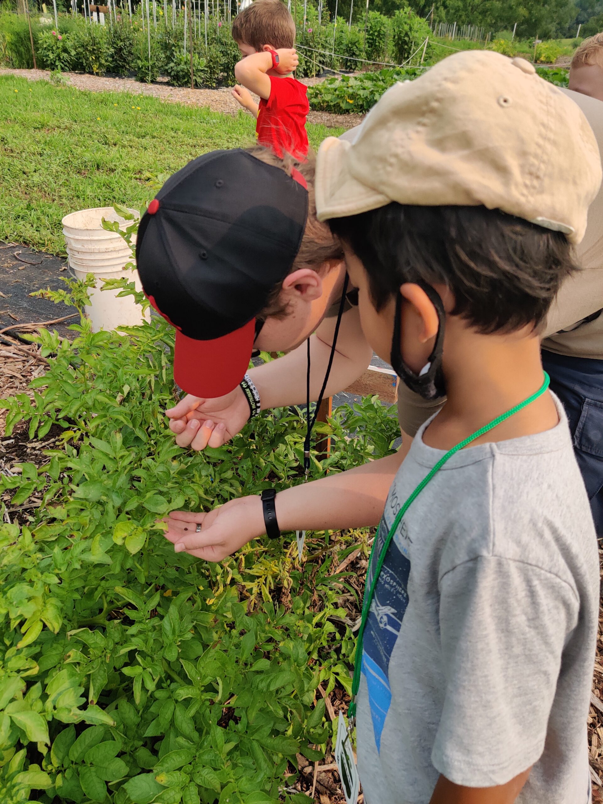 Summer Camp 2021: Earth Explorers Camp Monday-Tuesday - Tollgate Farm ...
