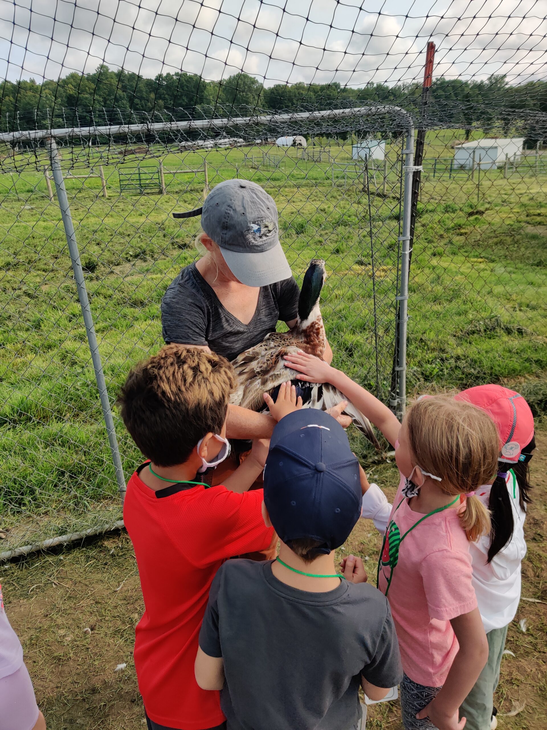 MSU Tollgate Earth Explorers Camp: Wednesday-Friday - Tollgate Farm and ...
