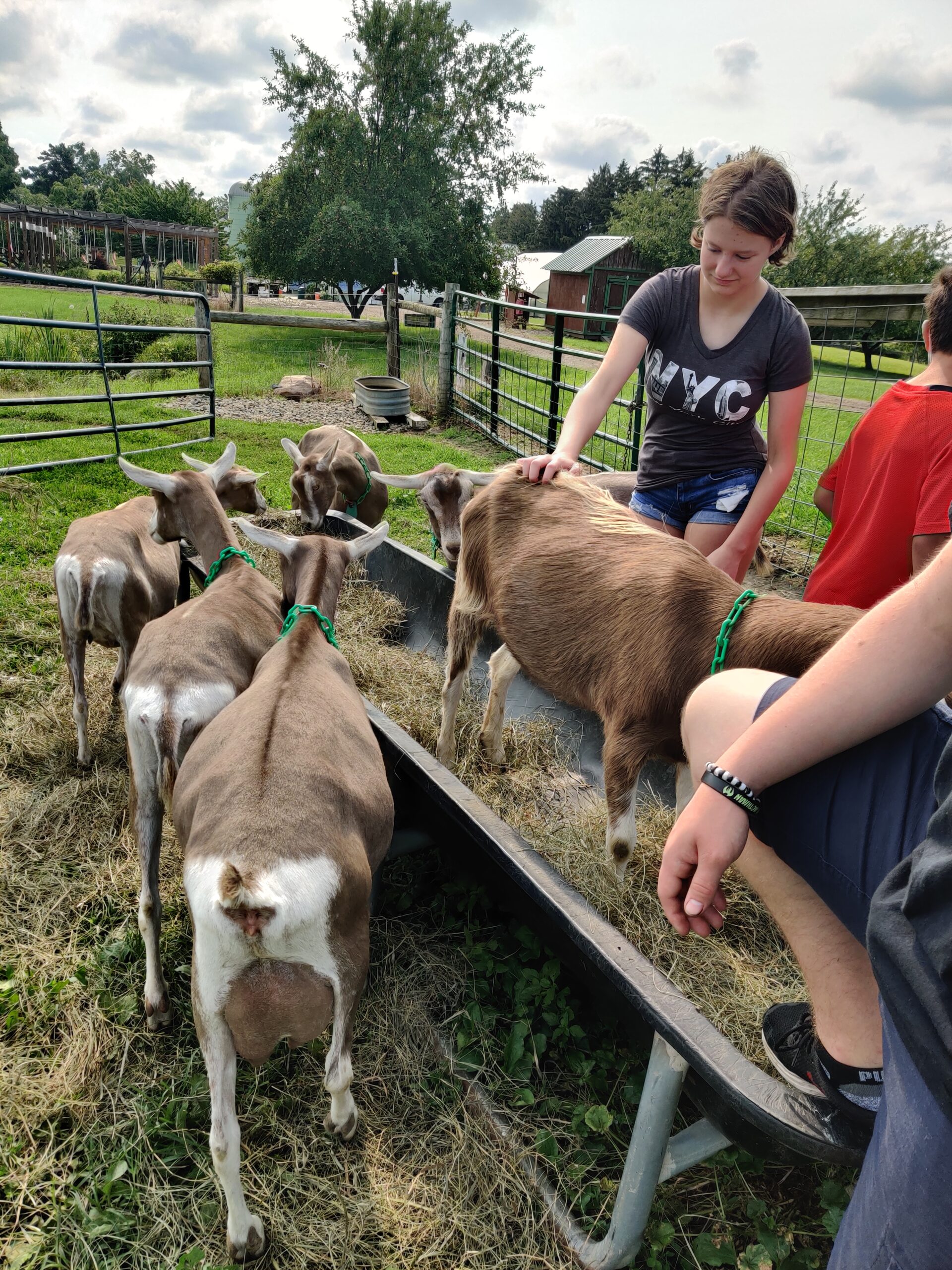MSU Tollgate Earth Explorers Camp: Wednesday-Friday - Tollgate Farm and ...