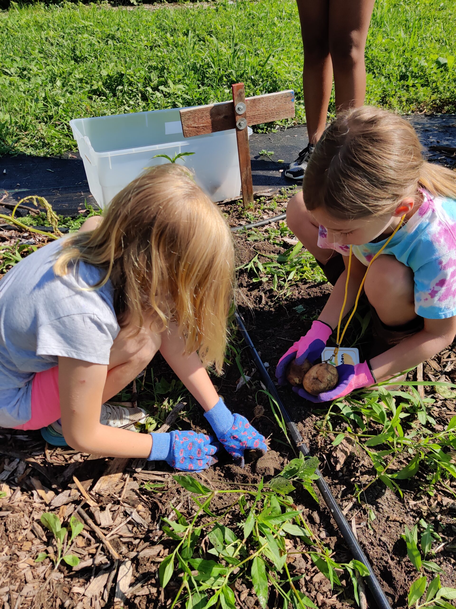 Animal Camp 2021: Monday-Wednesday - Tollgate Farm and Education Center