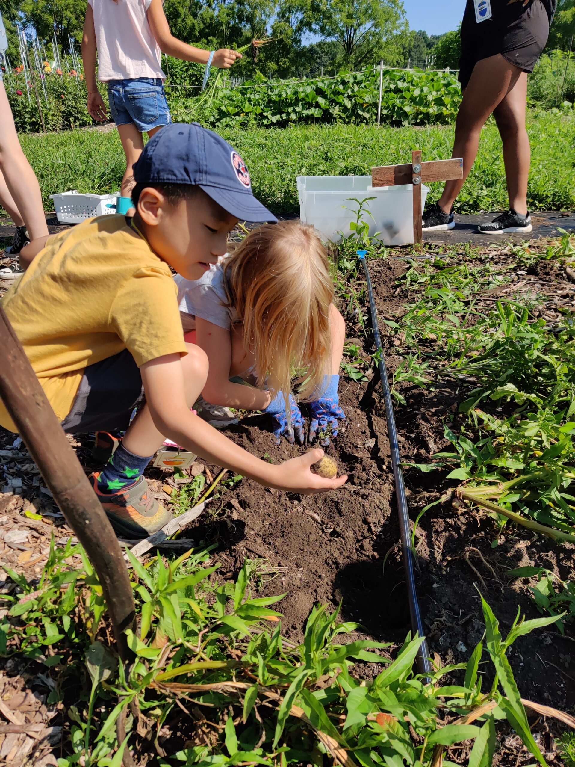 Animal Camp 2021: Monday-Wednesday - Tollgate Farm and Education Center