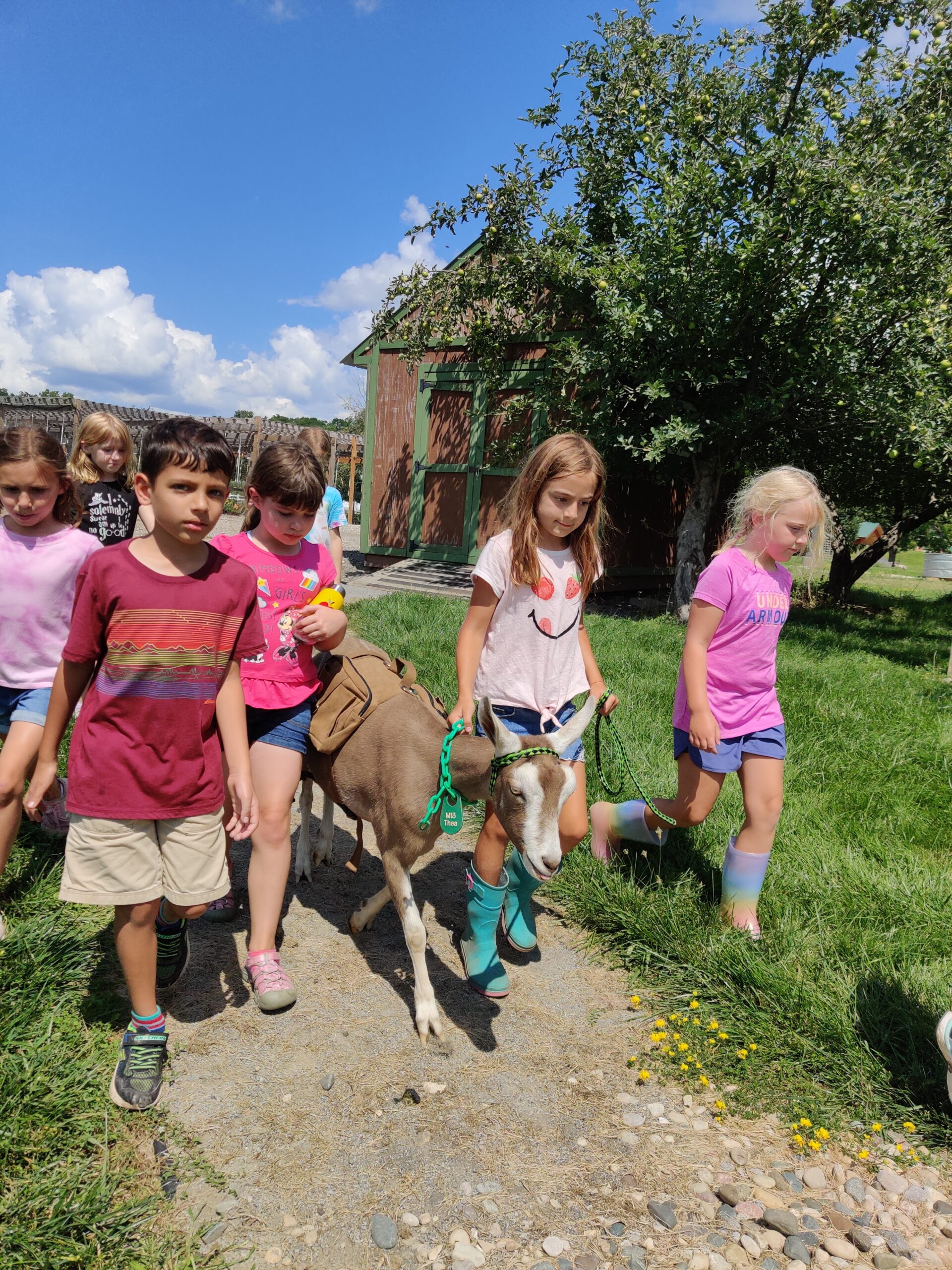 Animal Camp 2021: Monday-Wednesday - Tollgate Farm and Education Center