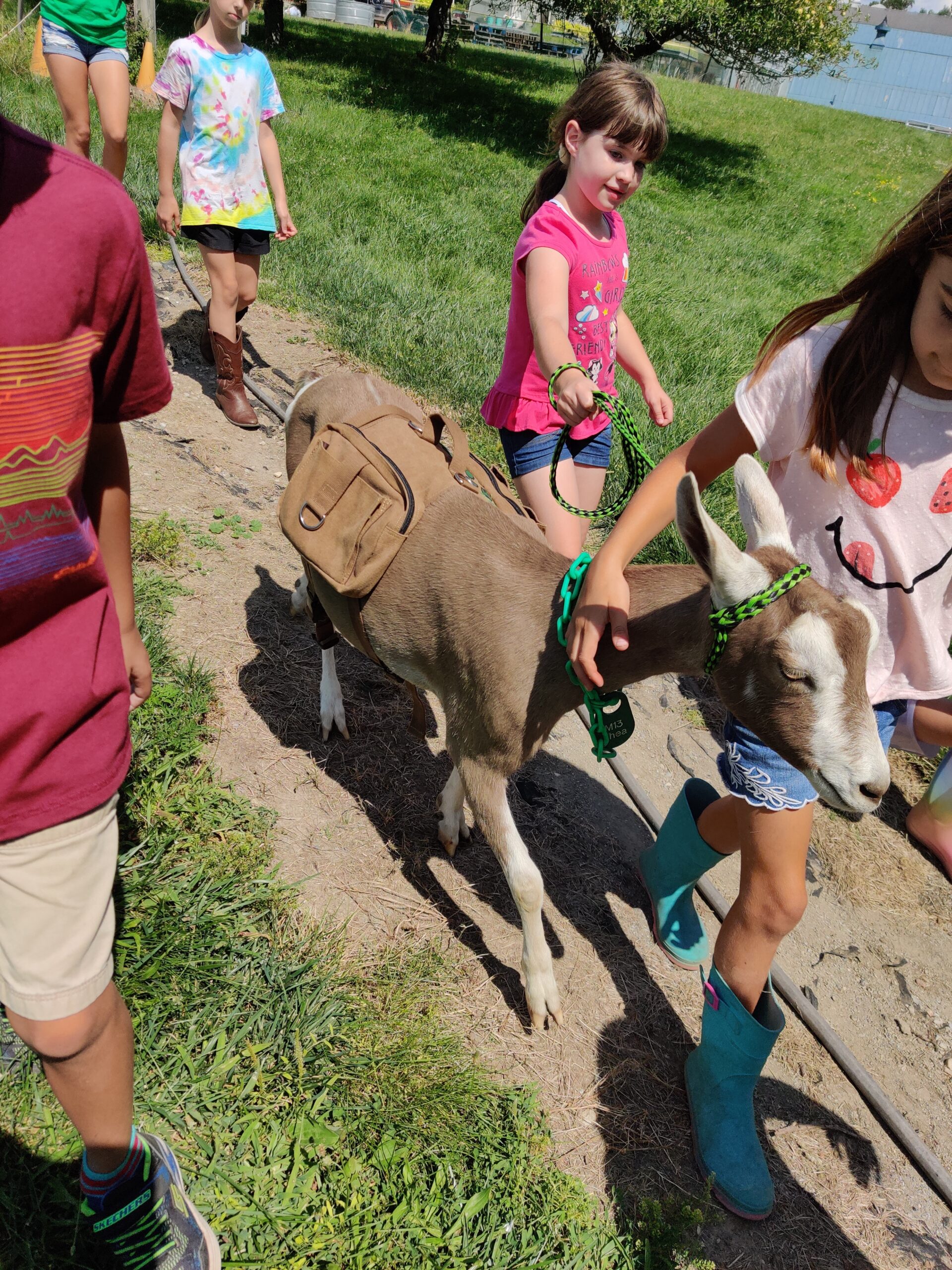 Animal Camp 2021: Monday-Wednesday - Tollgate Farm and Education Center