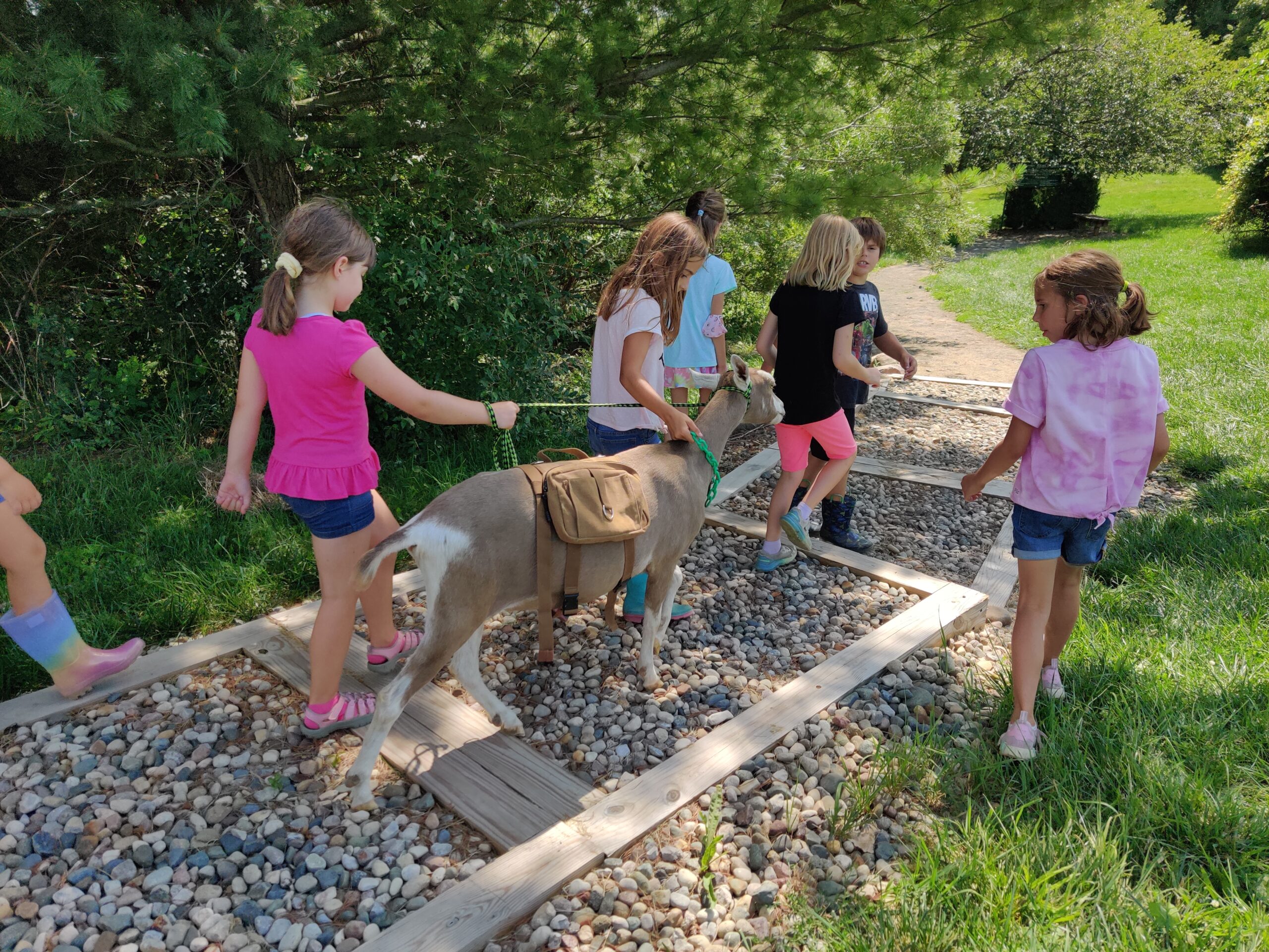 Animal Camp 2021: Monday-Wednesday - Tollgate Farm and Education Center
