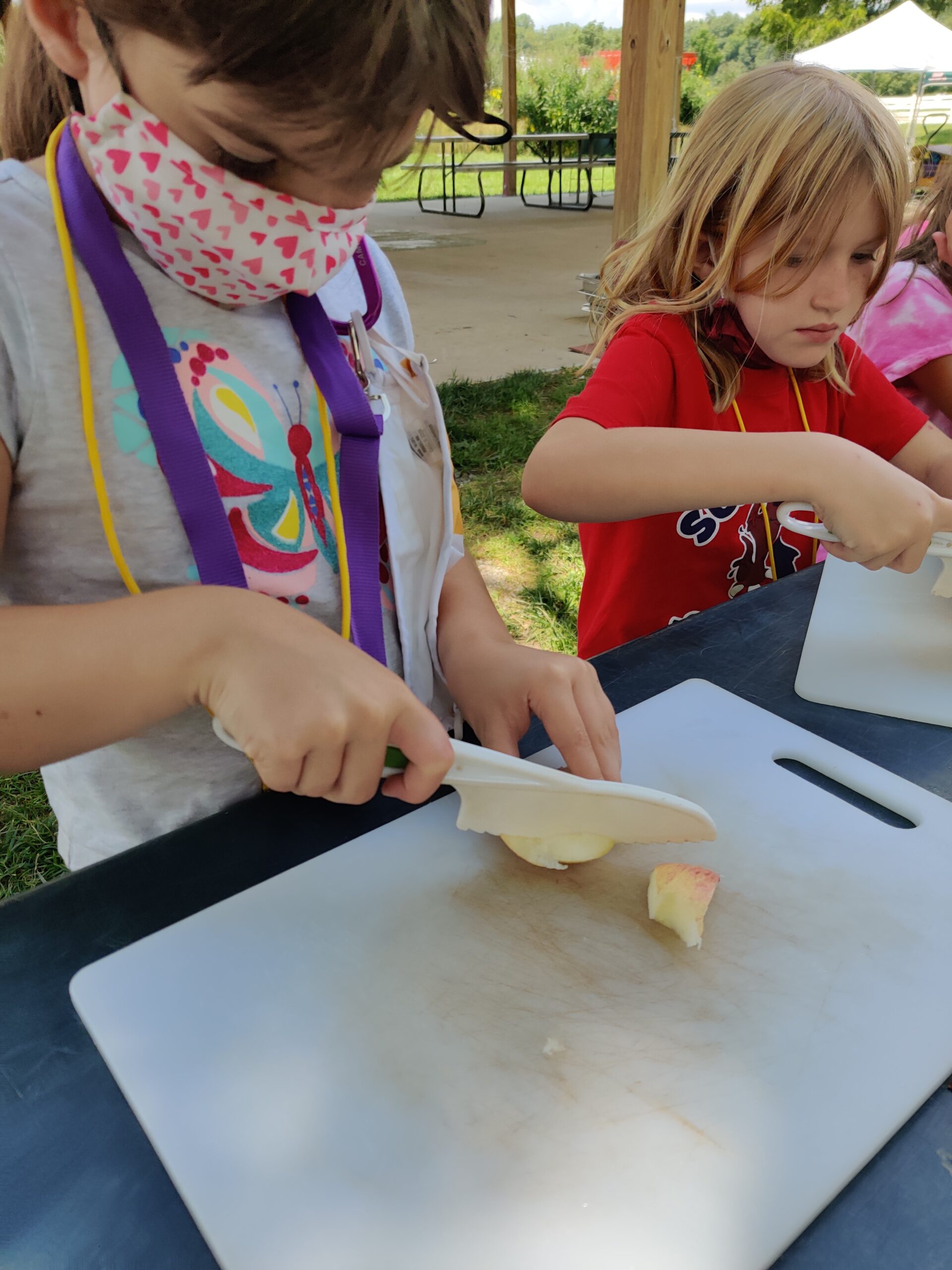 Animal Camp 2021: Monday-Wednesday - Tollgate Farm and Education Center