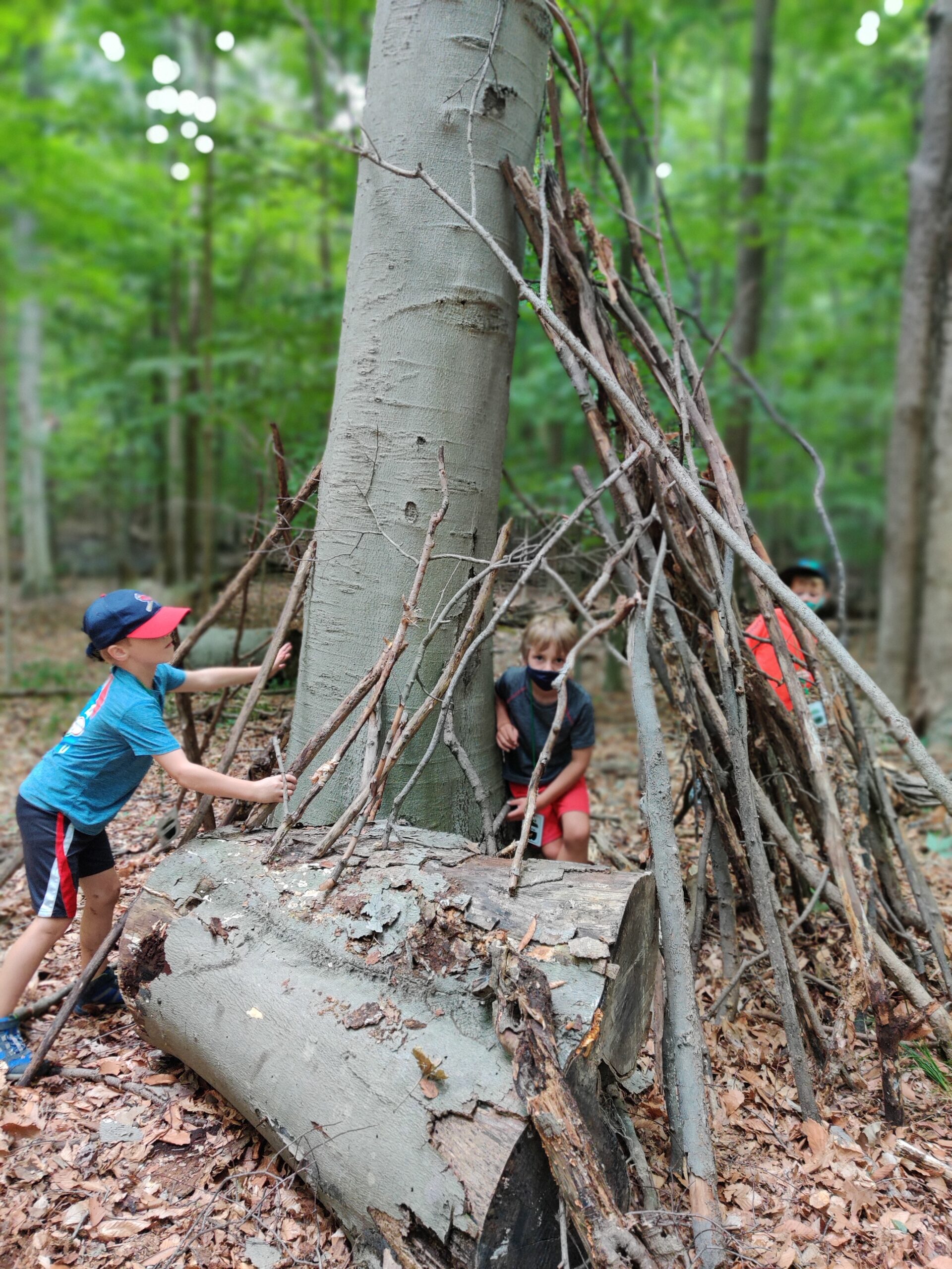 Survival Camp 2021: Monday - Friday - Tollgate Farm and Education Center