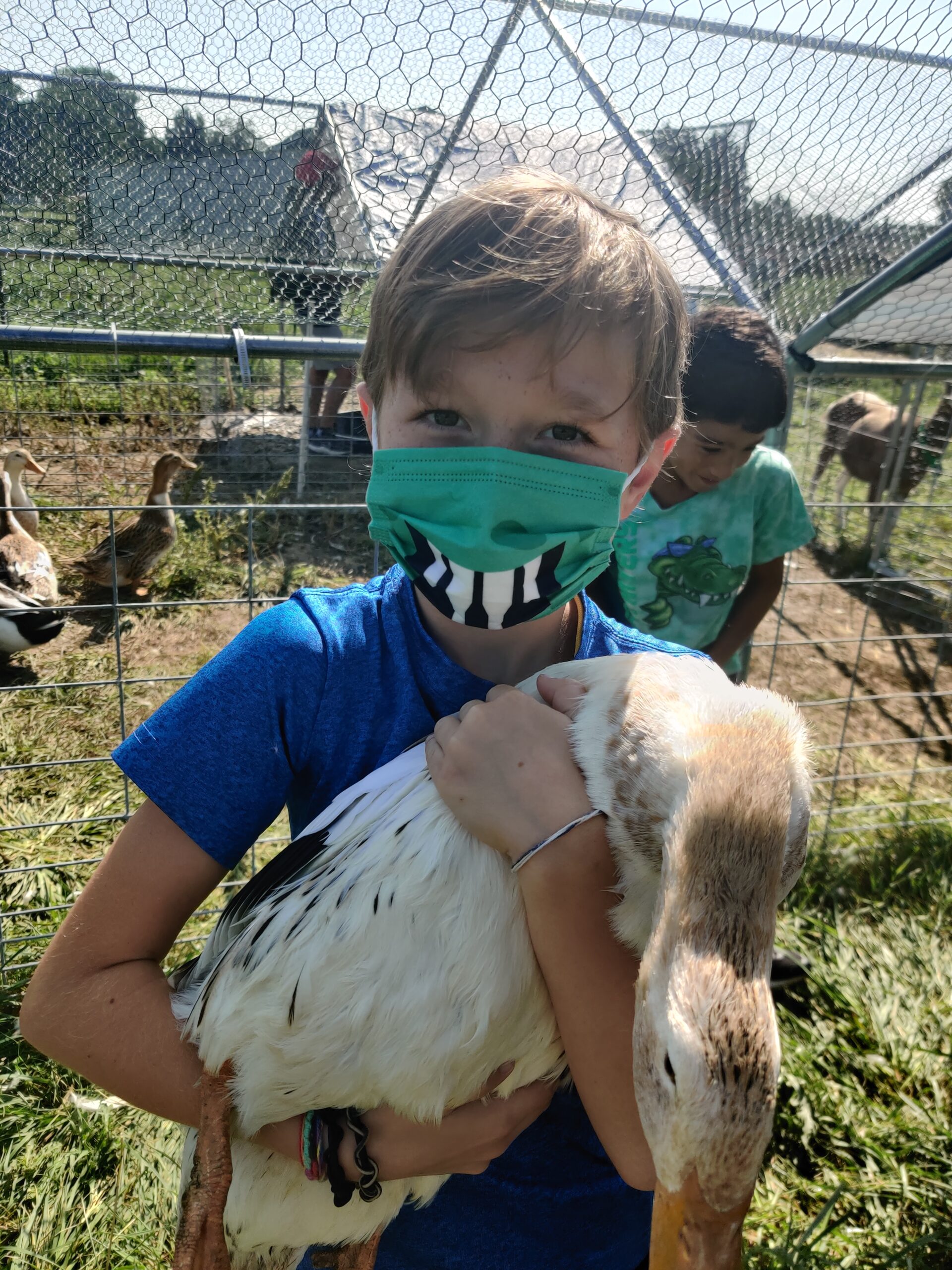 Splish Splash Water Camp 2021: - Tollgate Farm and Education Center