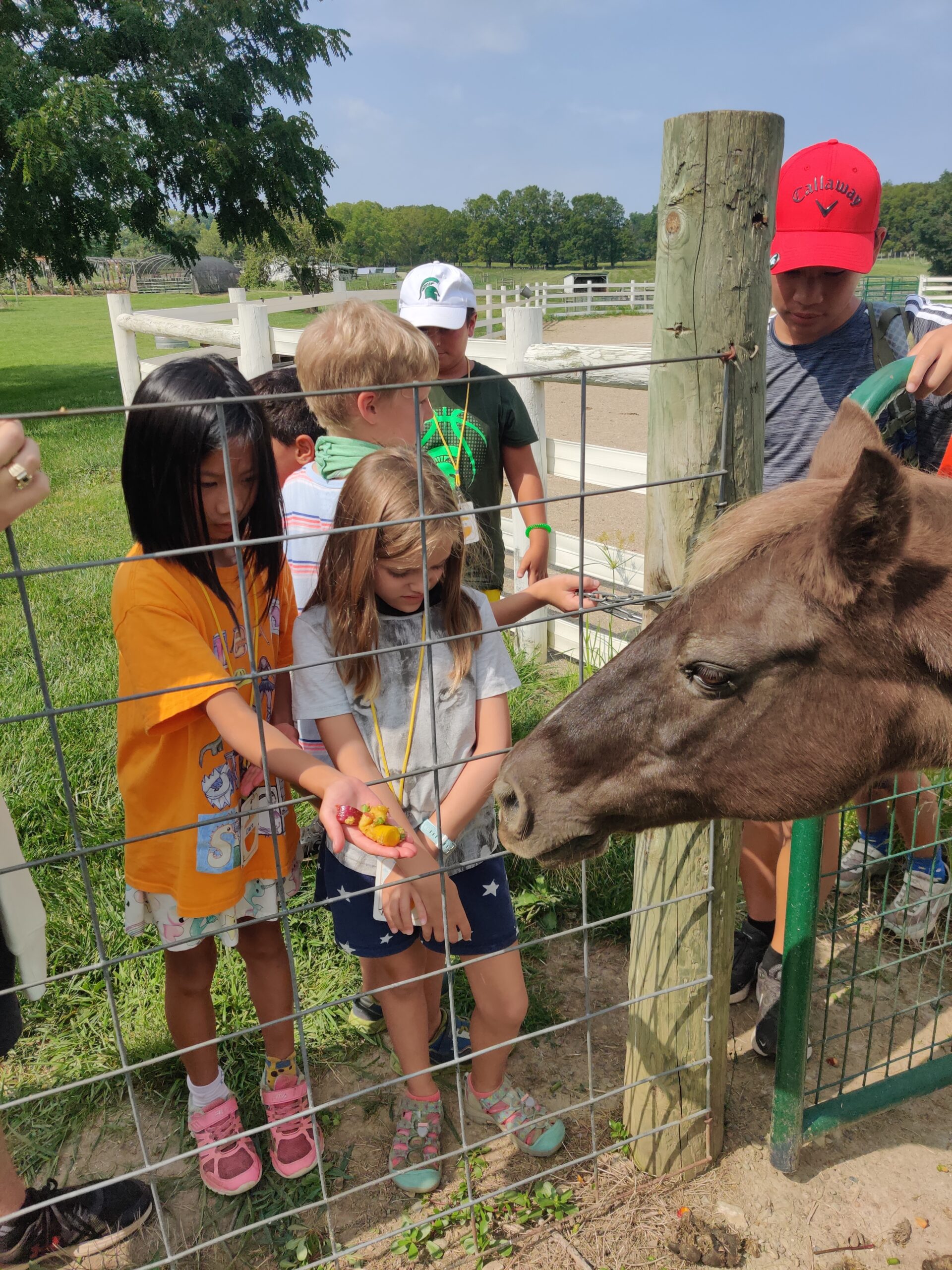 Splish Splash Water Camp 2021: - Tollgate Farm and Education Center