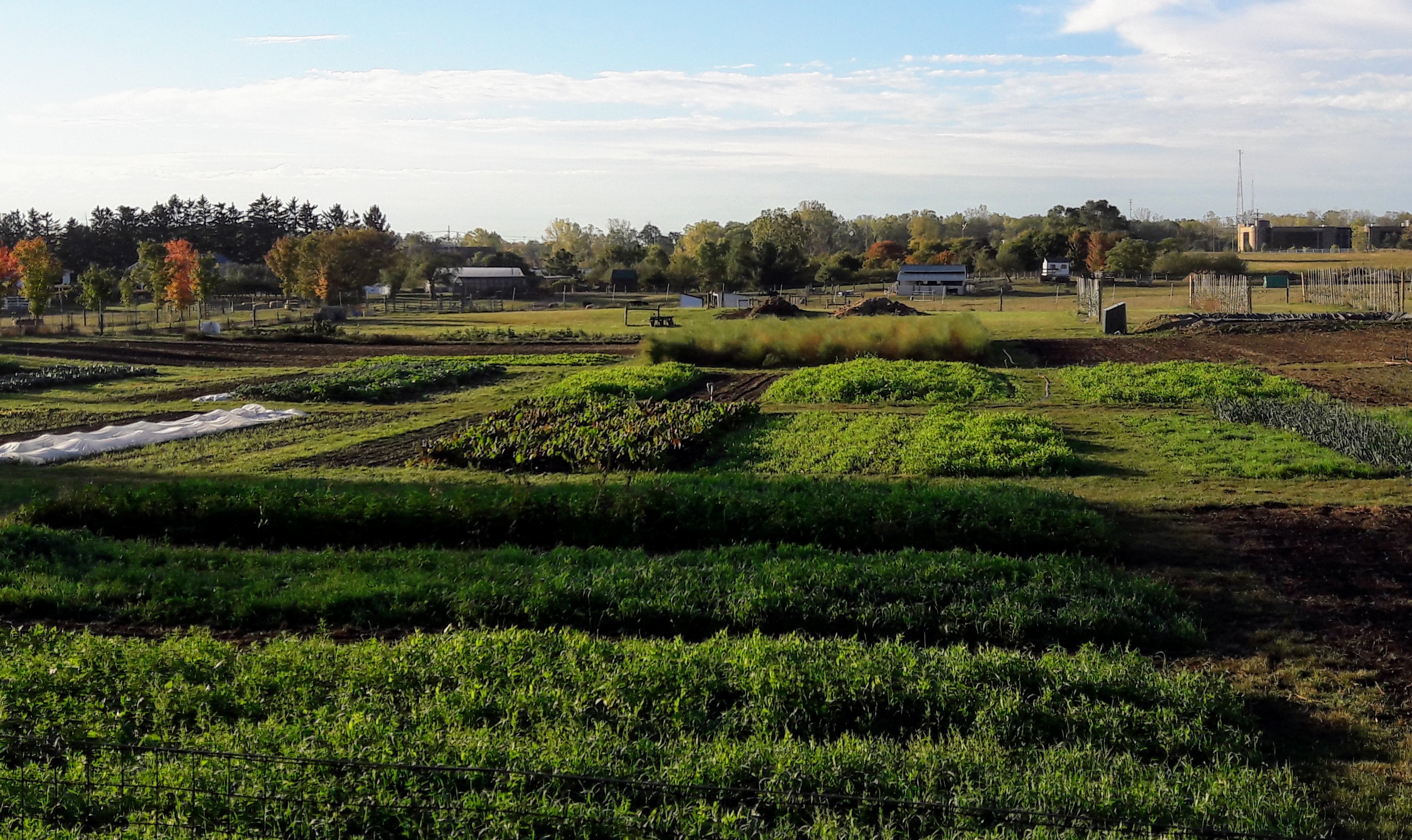 Sustainable Agriculture - Tollgate Farm and Education Center